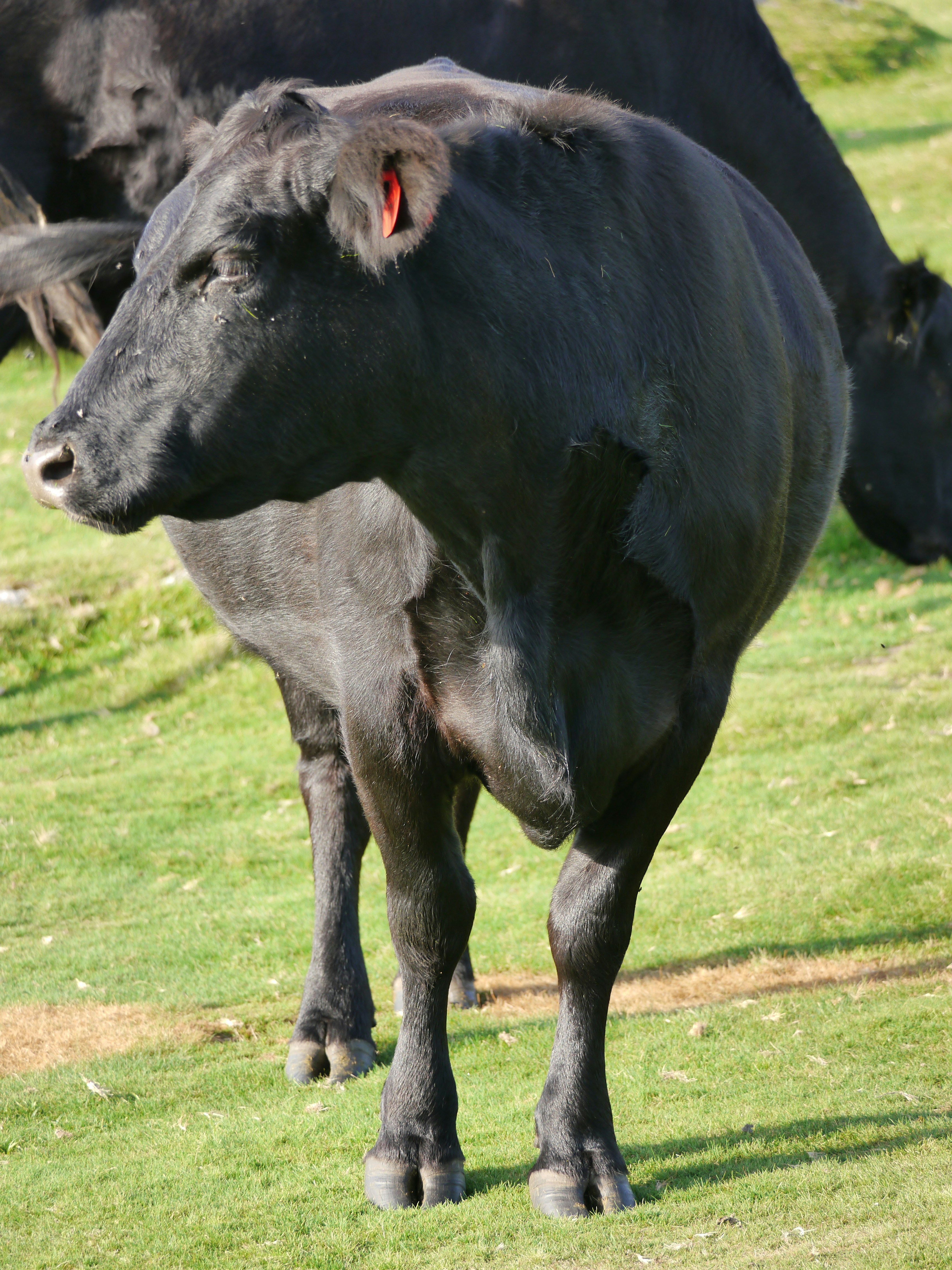 Photo by Jim with Panasonic Lumix G5