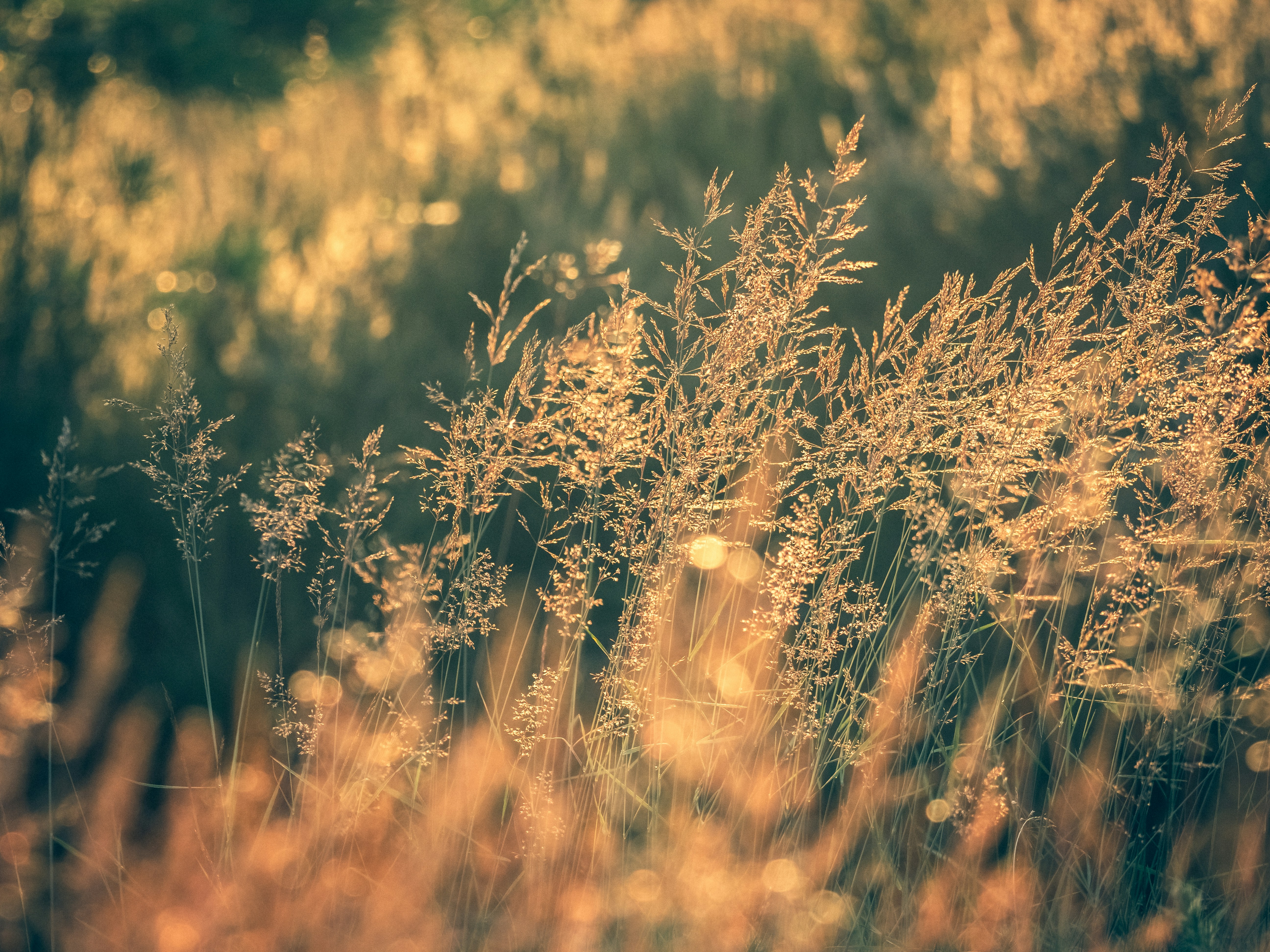 Photo by Doncoombez with OM System OM-1