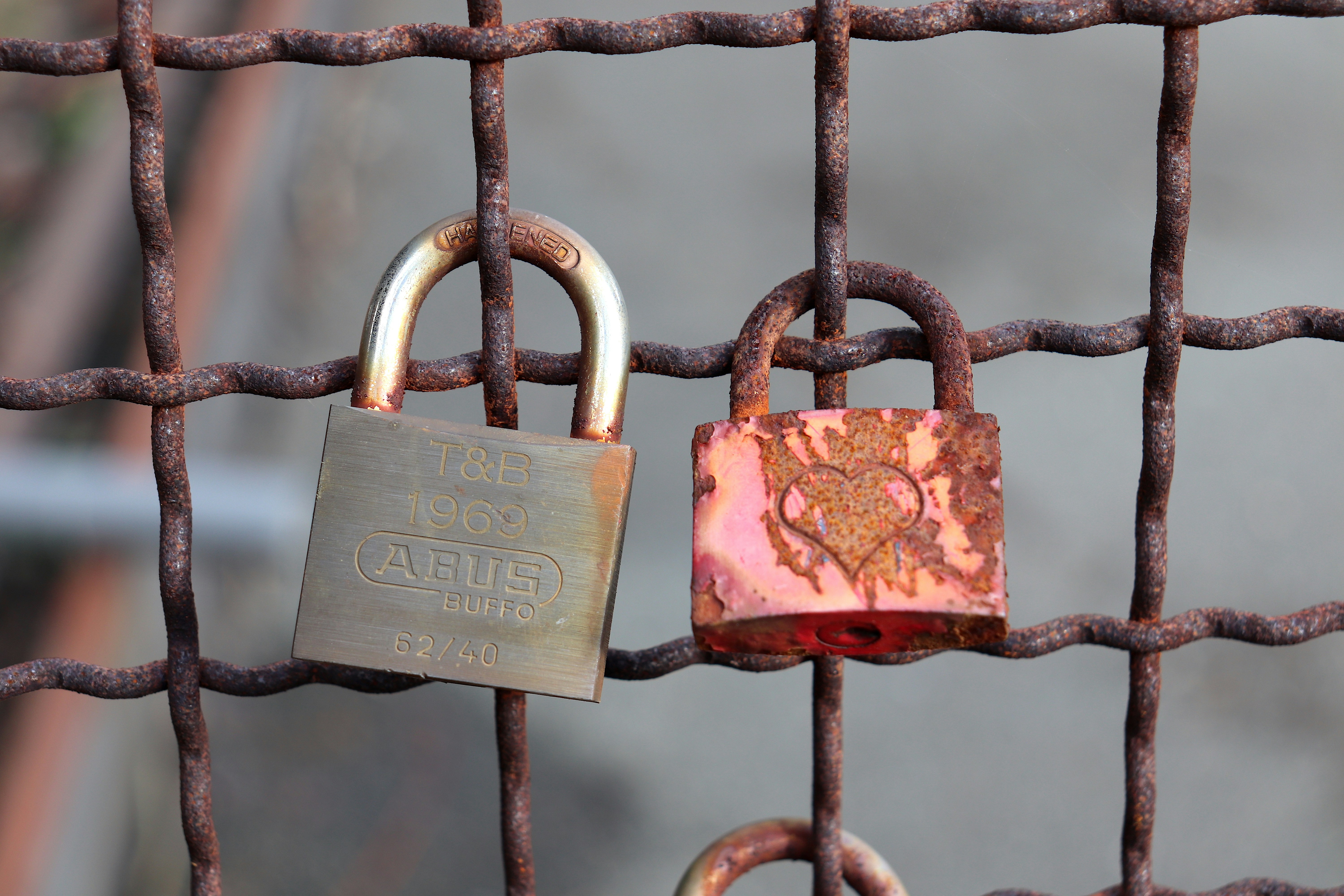 A couple of padlocks attached to a fence photo – Free Zollverein Image ...