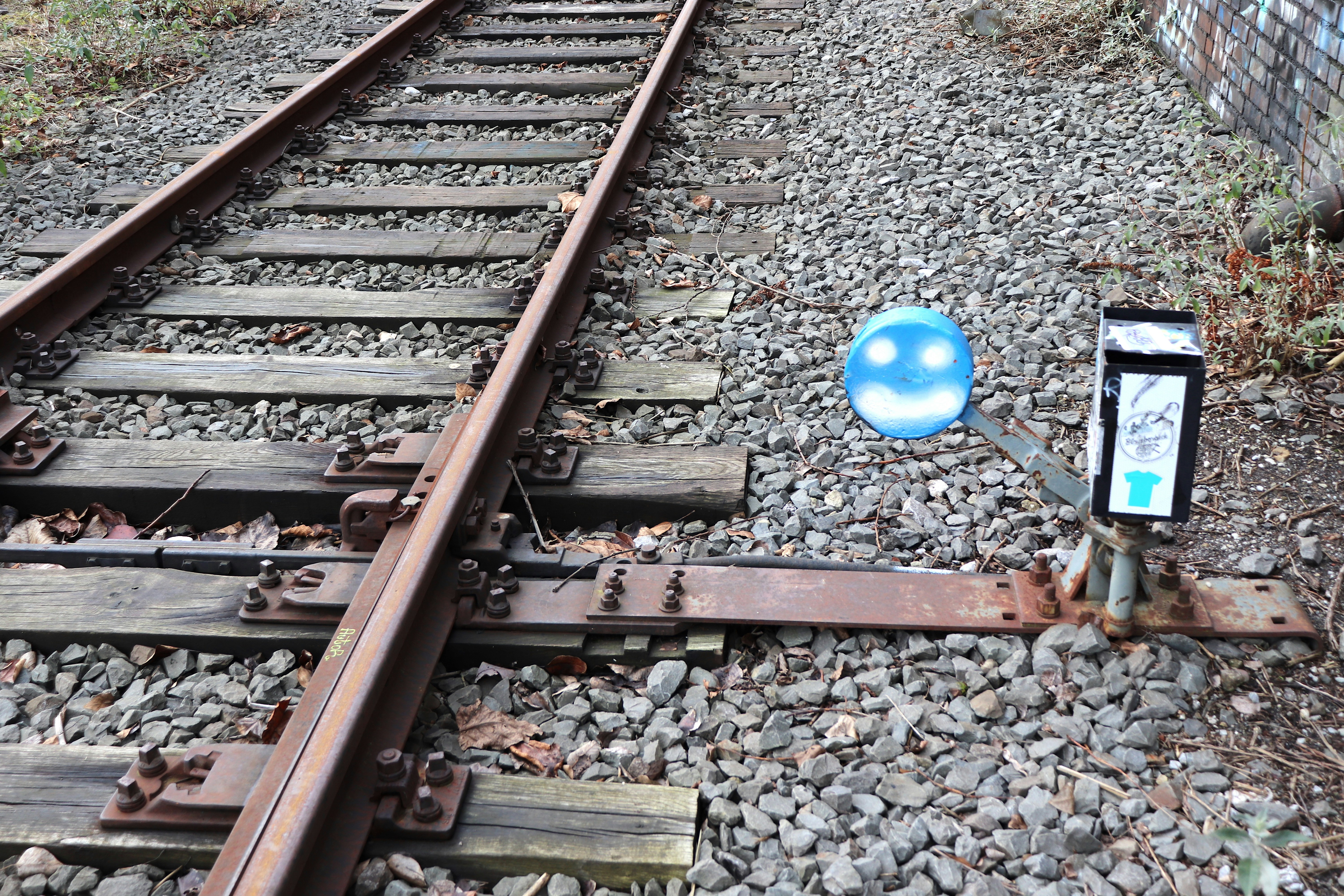 Blue Balloon at the Crossing: A Quiet Moment by the Rails