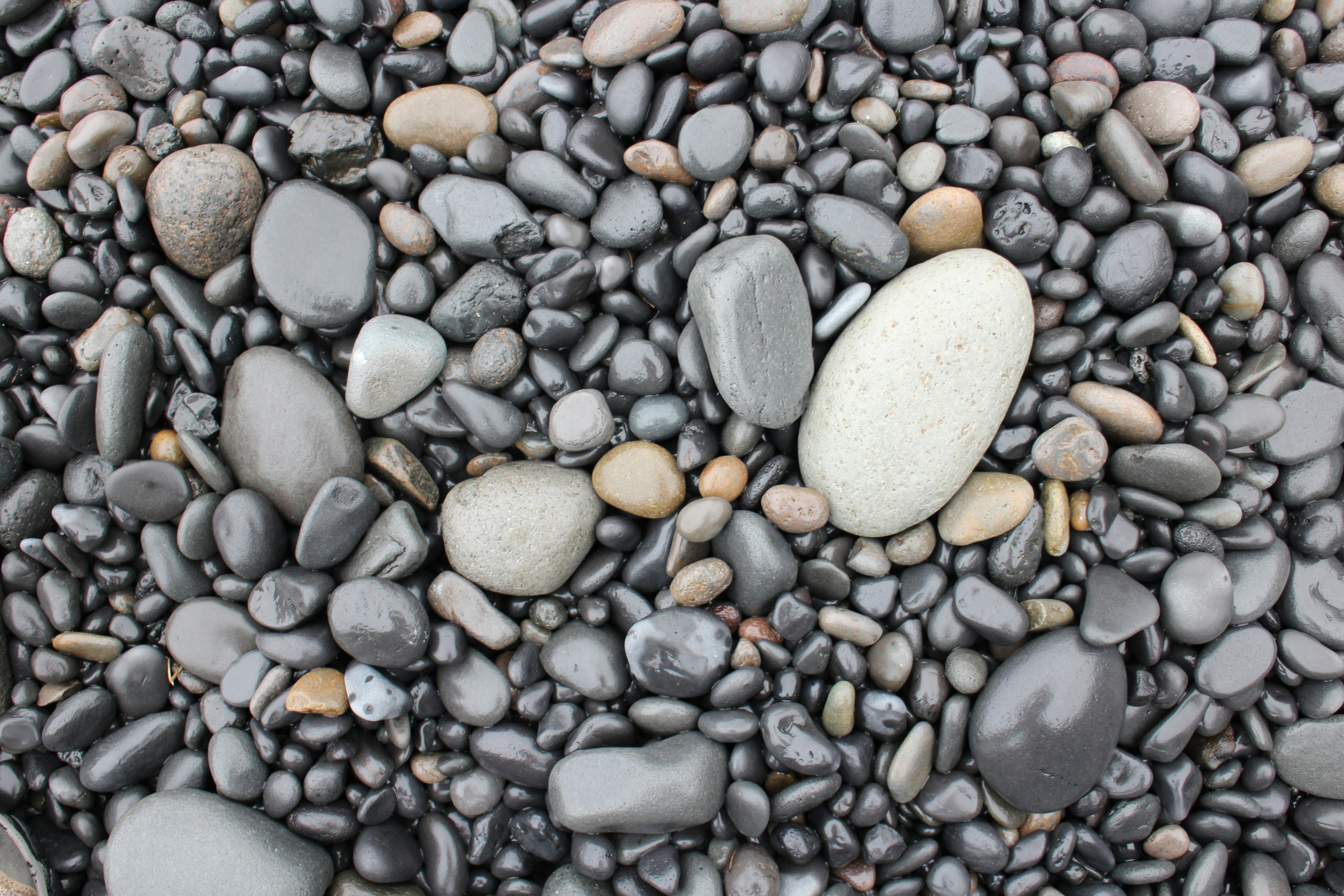 Photo by Jenny Larsson with Canon EOS M