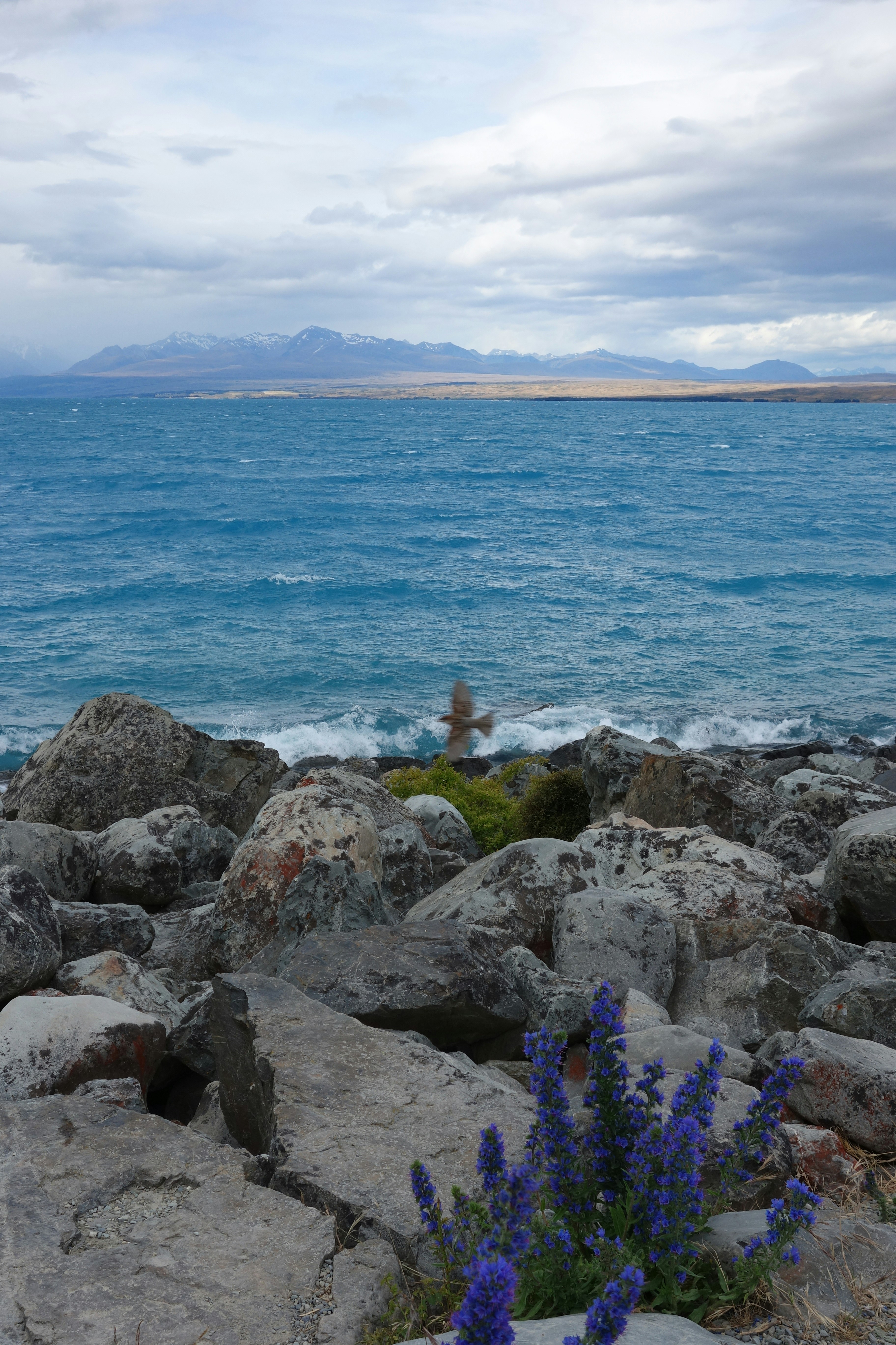 A bunch of rocks that are by the water photo – Free New zealand Image ...