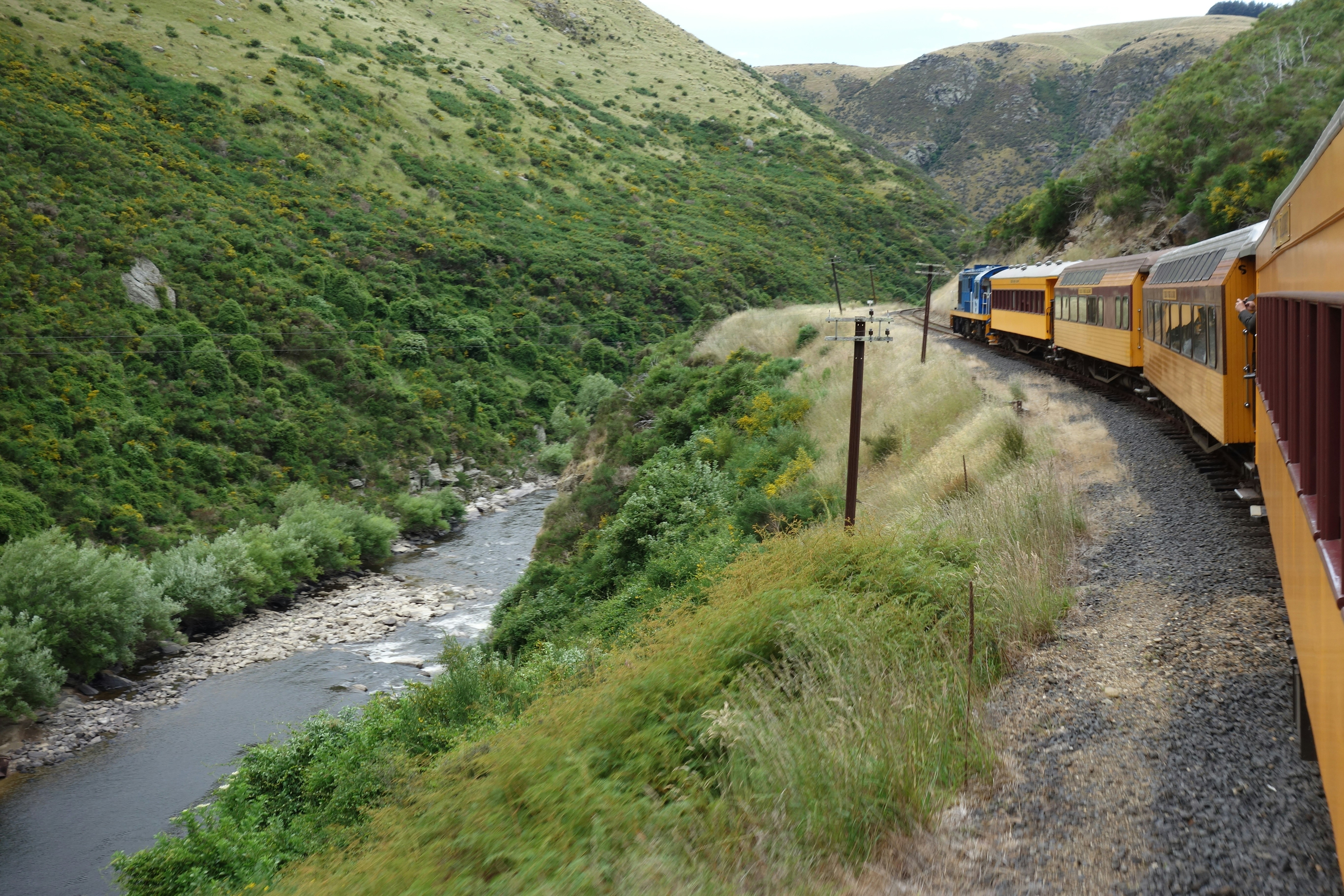 A train traveling through a lush green countryside photo – Free Human ...