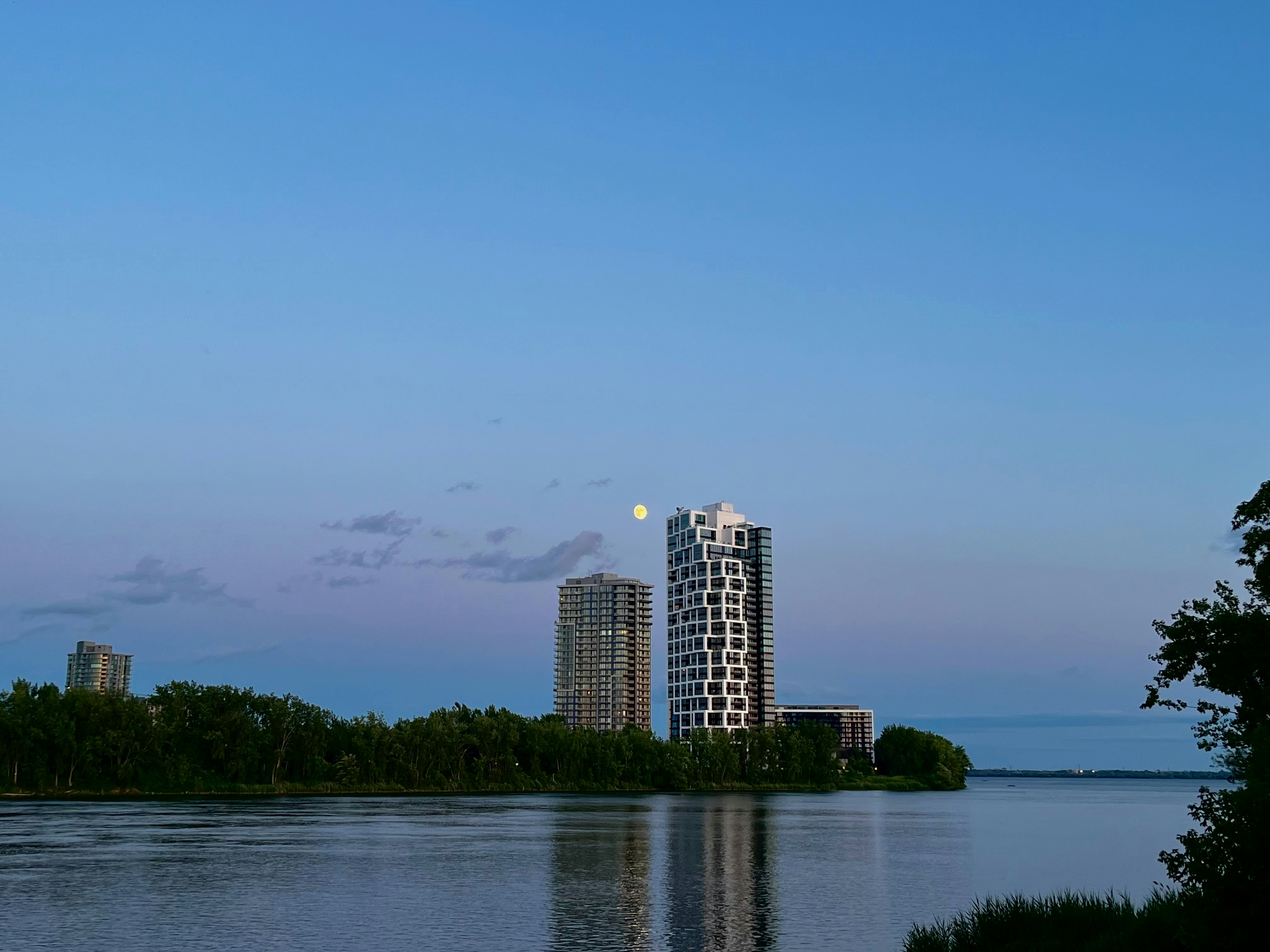 A body of water with buildings in the background