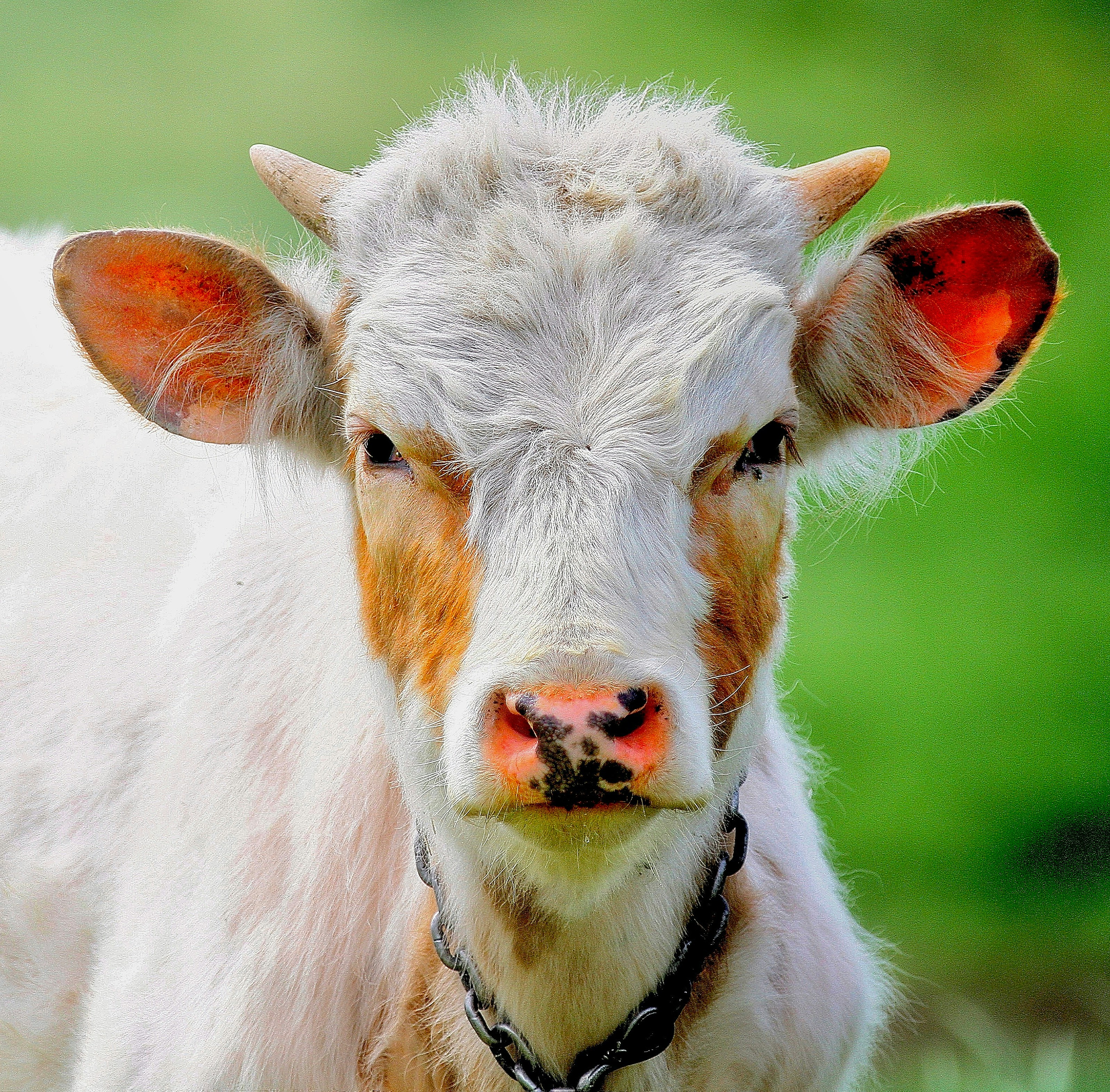 Photo by Andrey Tikhonovskiy with Canon EOS 7D