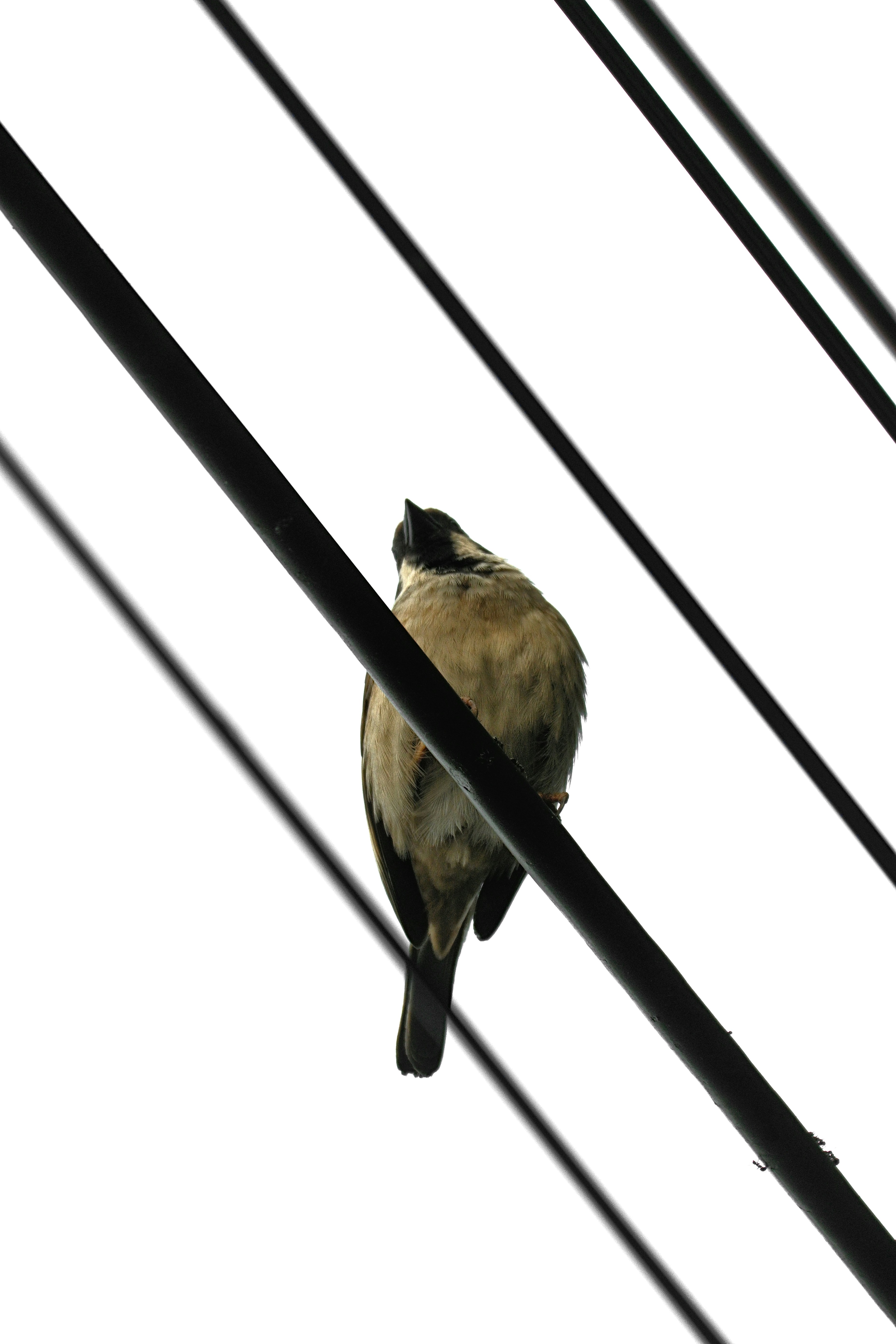 Power Cord Pictures | Download Free Images on Unsplash