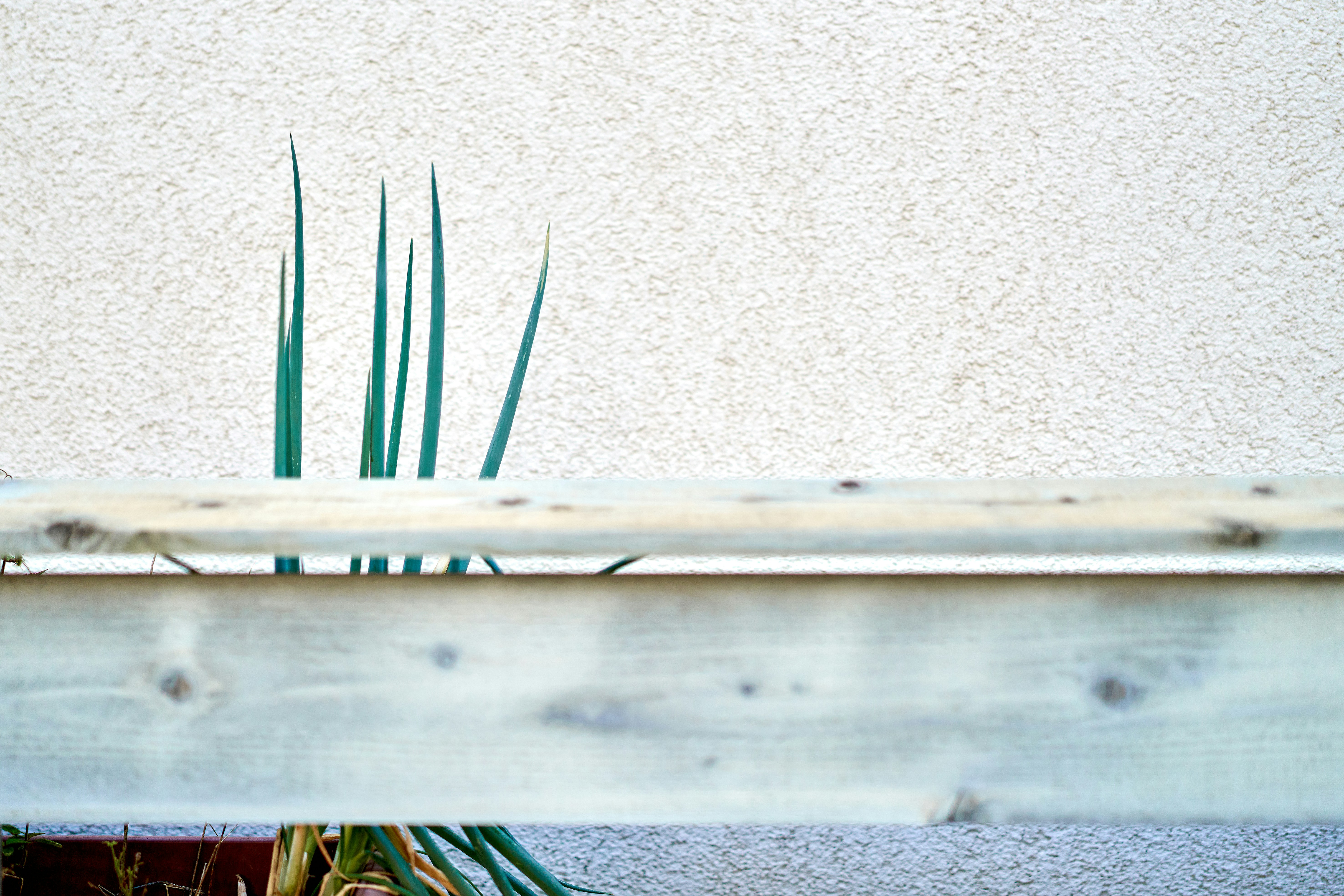 Photo by Buddy AN with Sony Alpha 7R V