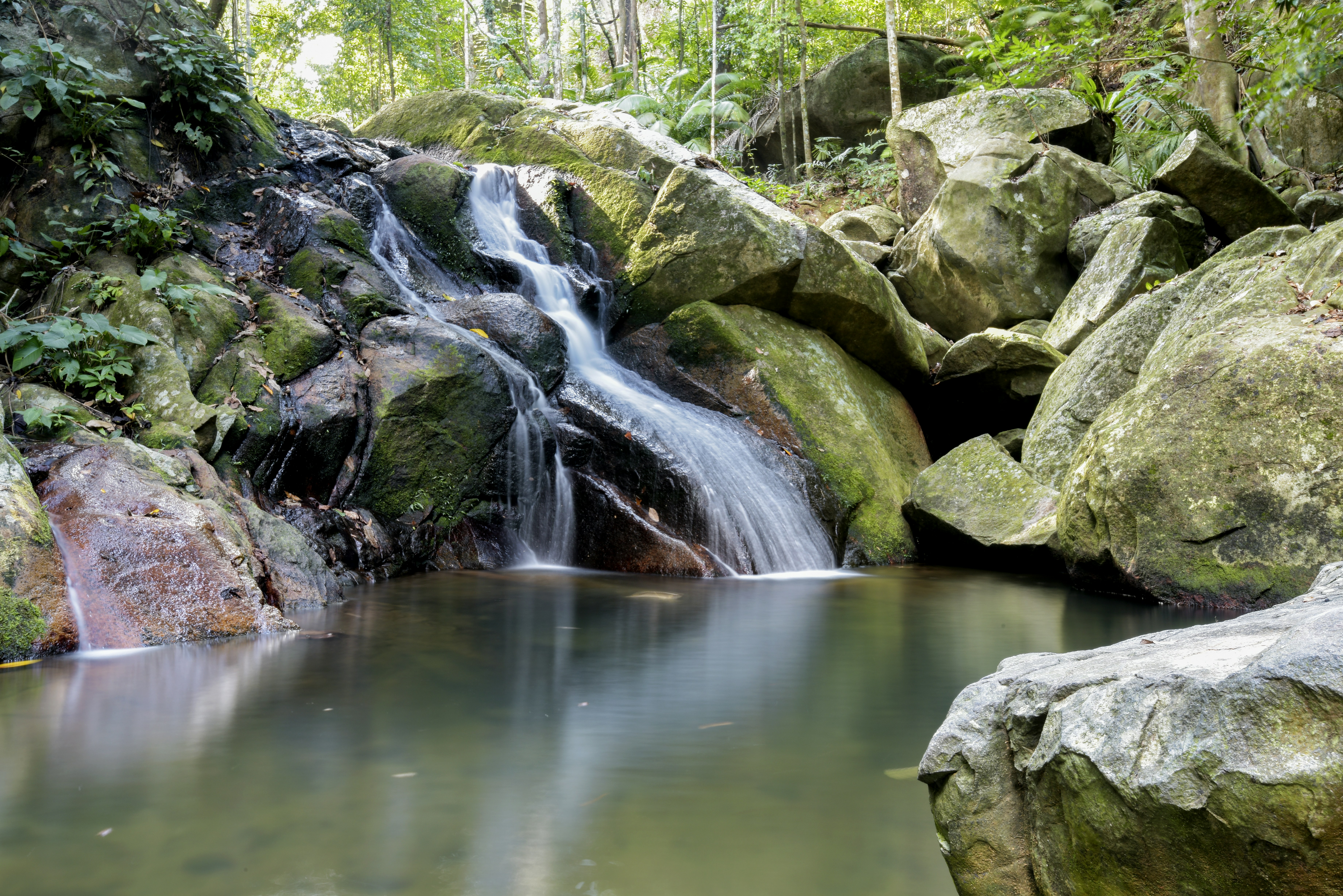 Gentle waterfall flowing over moss-covered rocks into a serene forest pool.