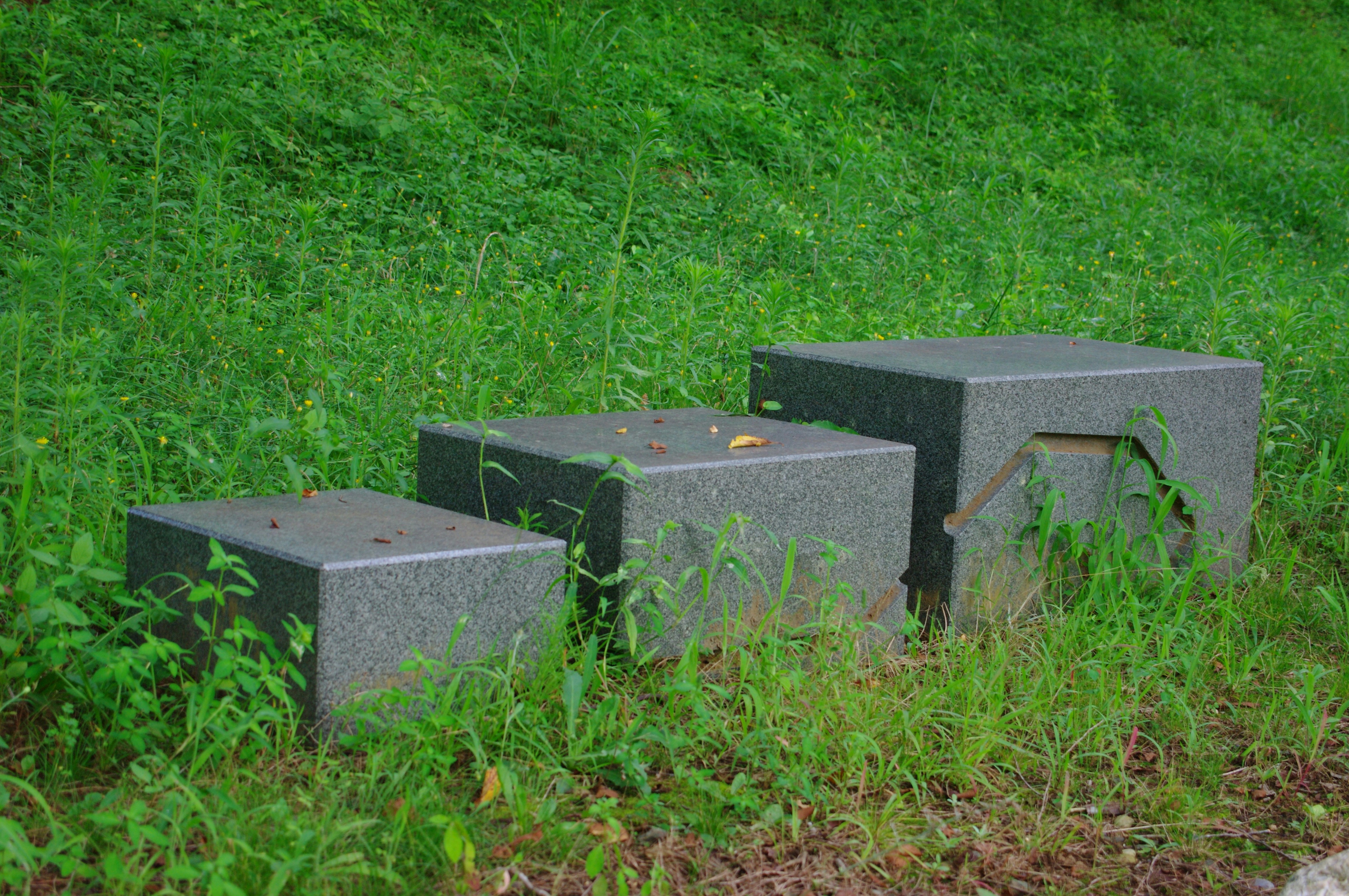 Three gray concrete blocks sit in a grassy area with a lush green backdrop, their clean lines contrasting with wild vegetation. This outdoor photograph captures a minimalist industrial form amid nature.