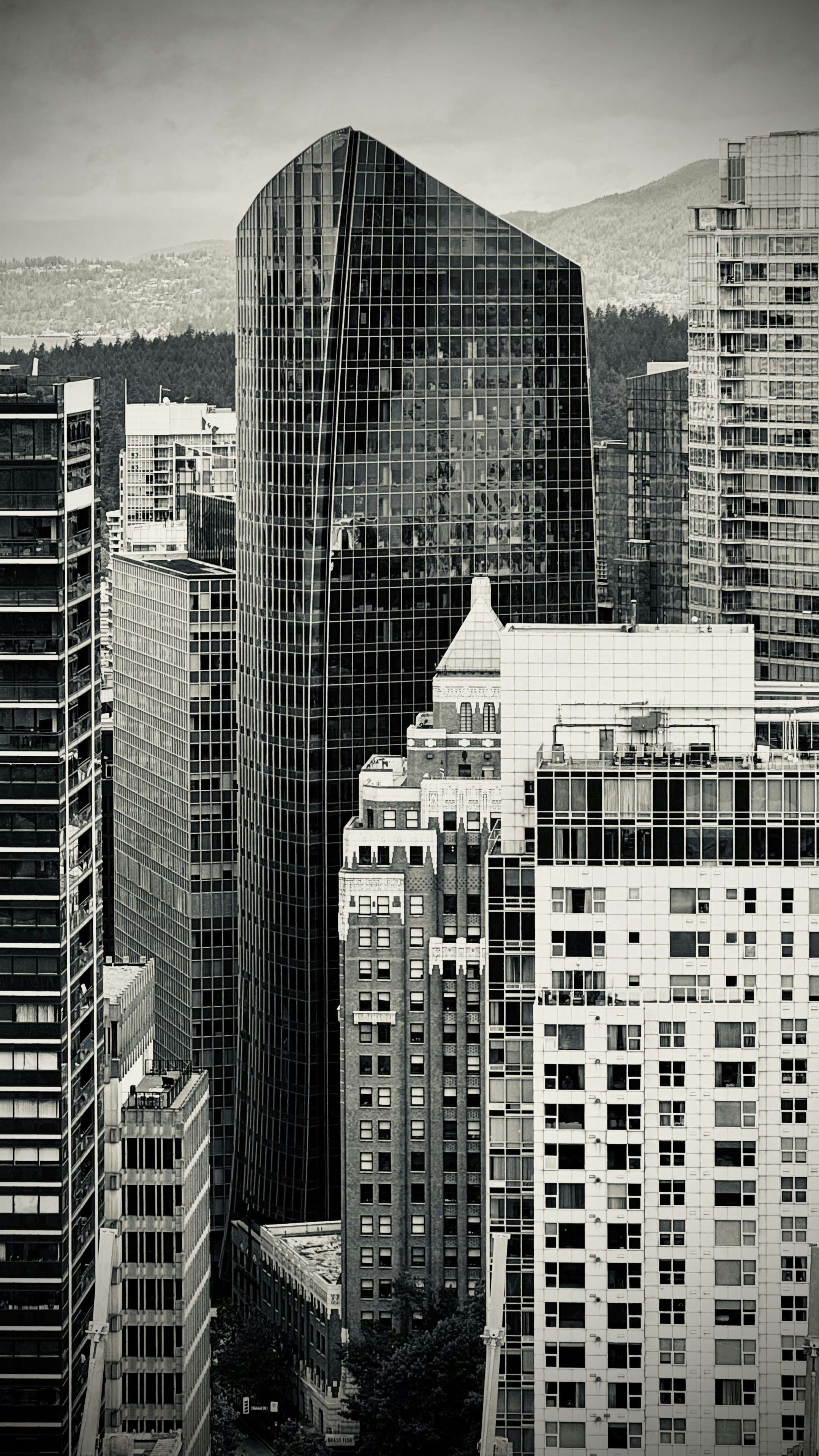 Arc-top Glass Tower Rises Above a Dense Grayscale Skyline