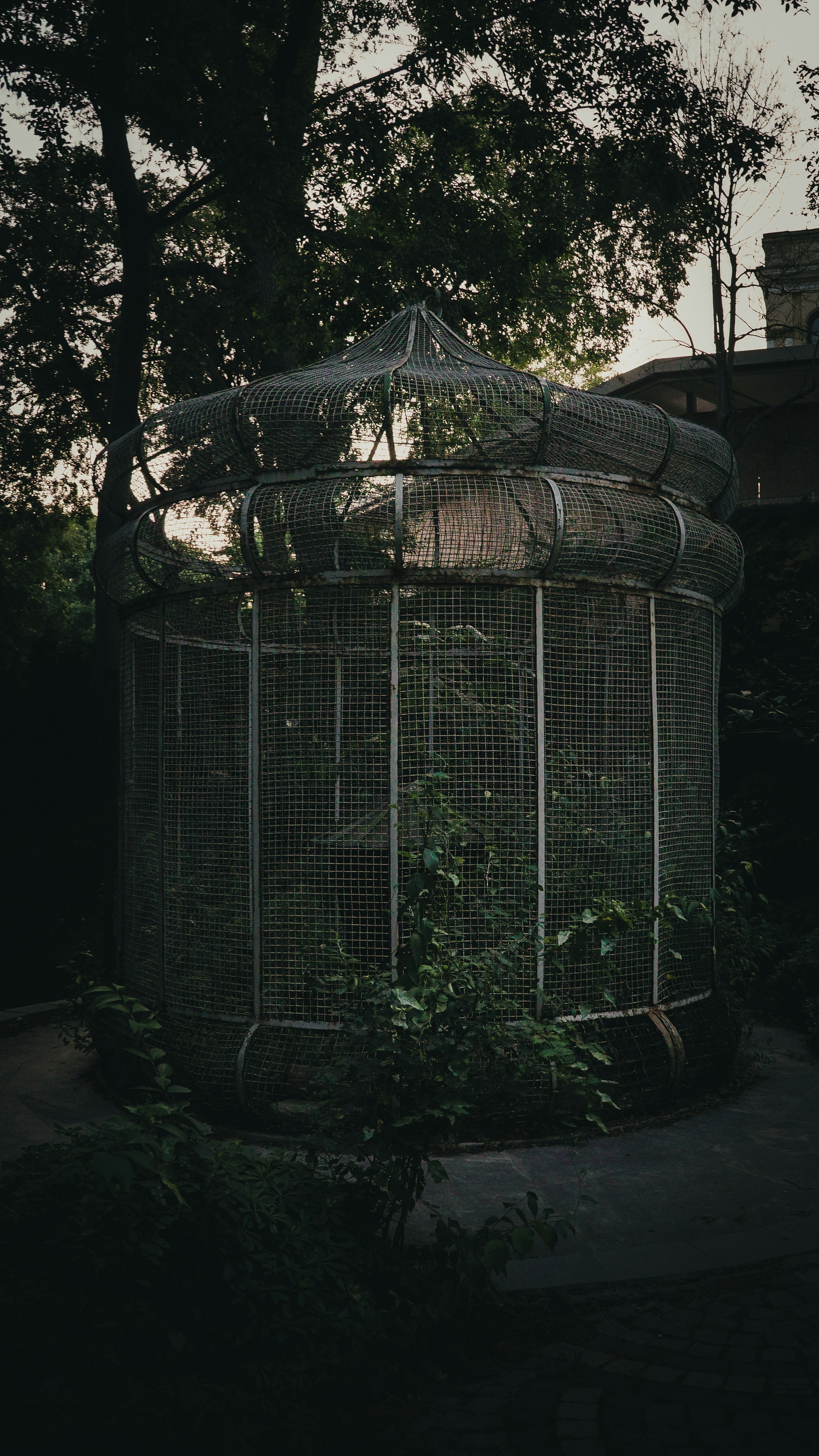 Ivy-Wreathed Iron Cage in a Dim Garden at Dusk