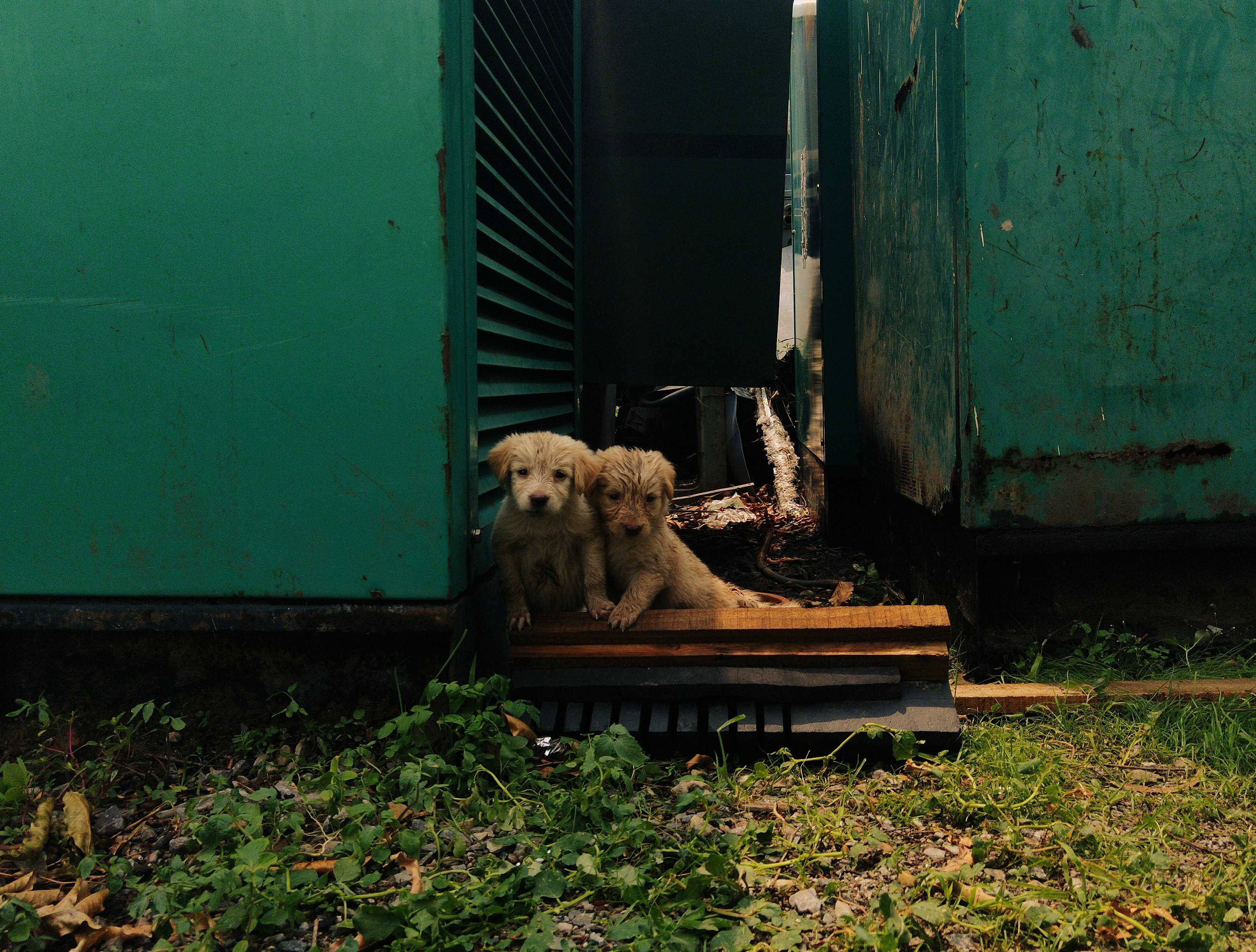 Sample photo from Xiaomi Poco X4 Pro