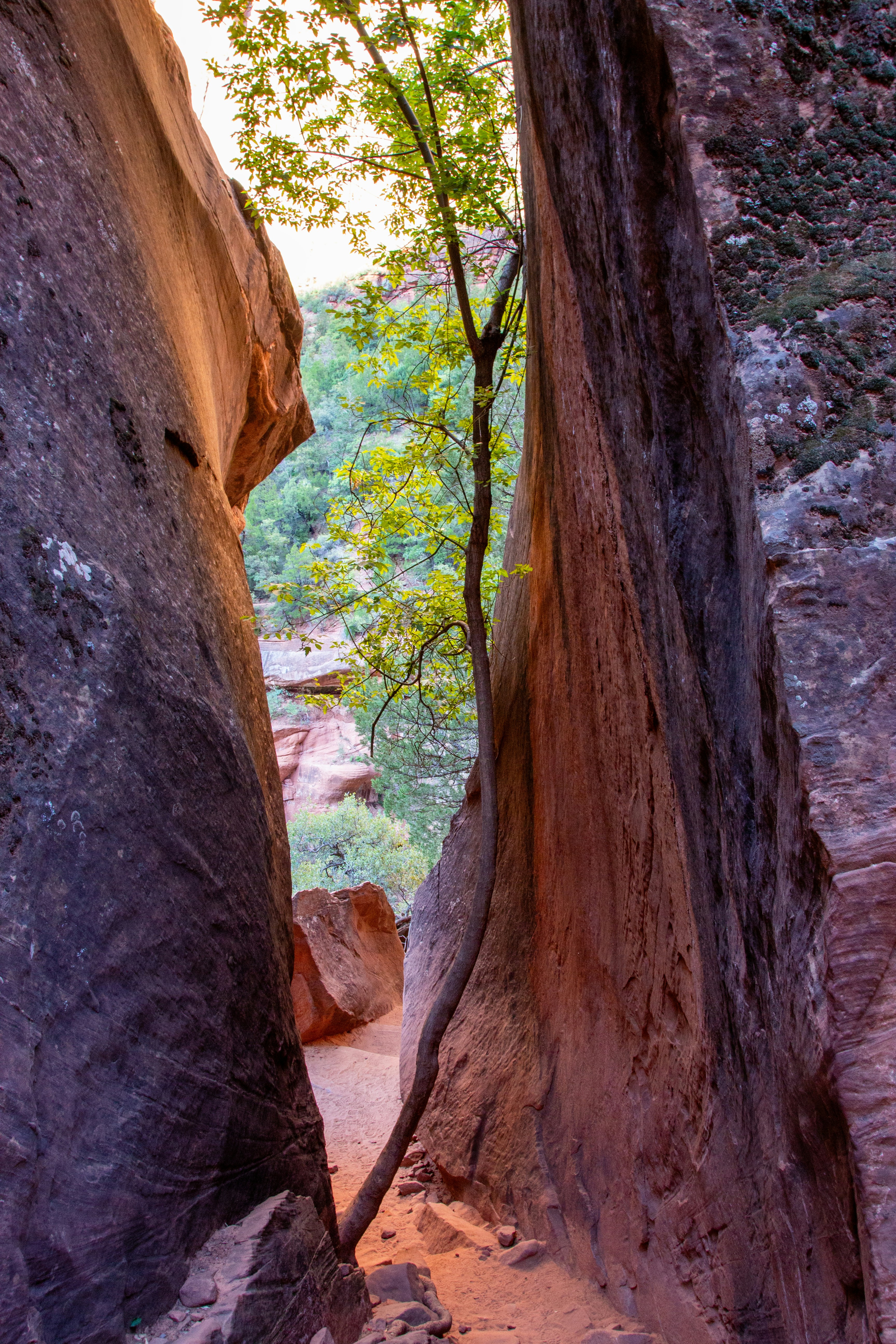 A narrow narrow path between two large rocks photo – Free Path Image on ...