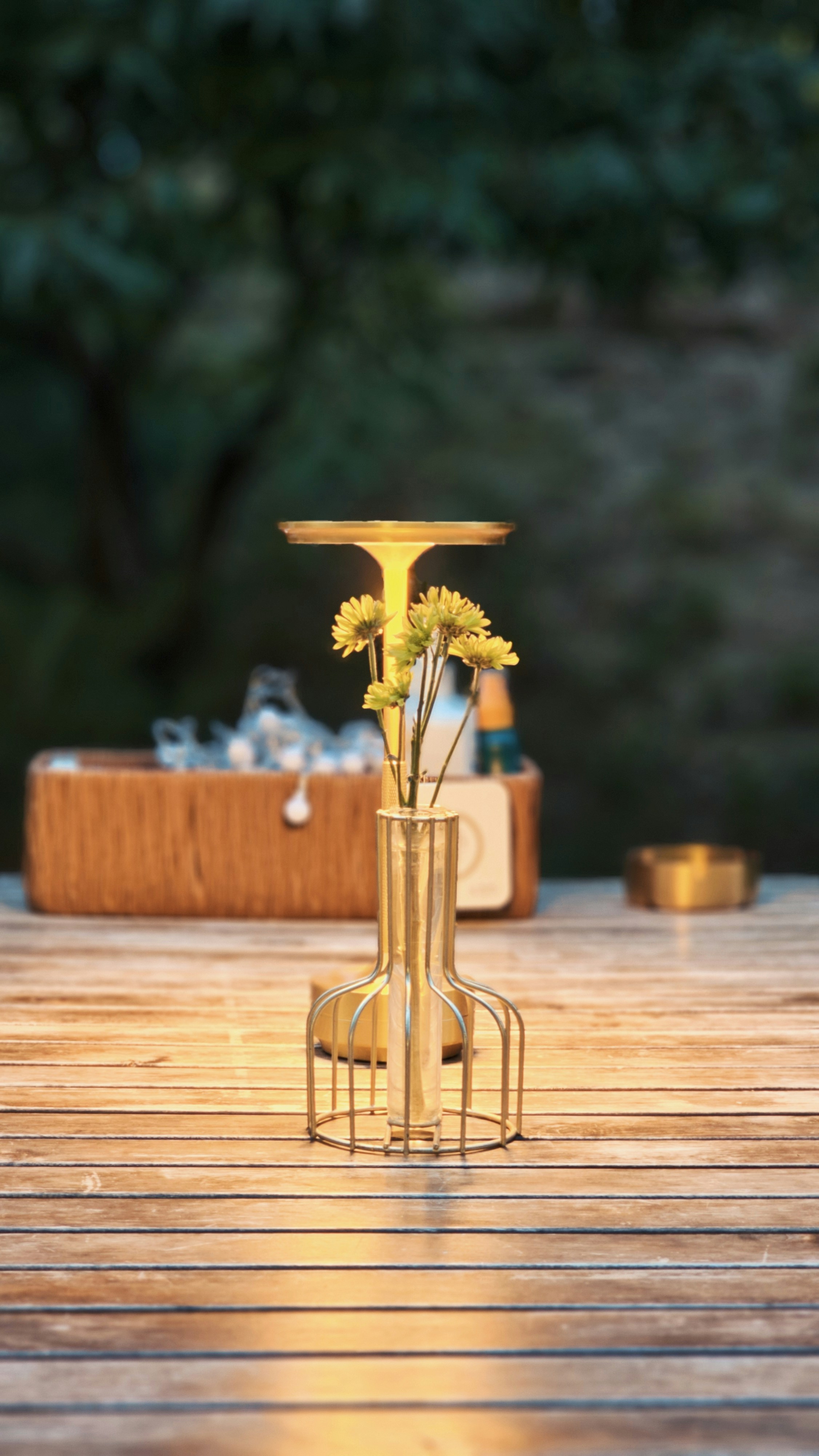 Brass Bloom Vessel: A Quiet Still Life in Golden Outdoor Light