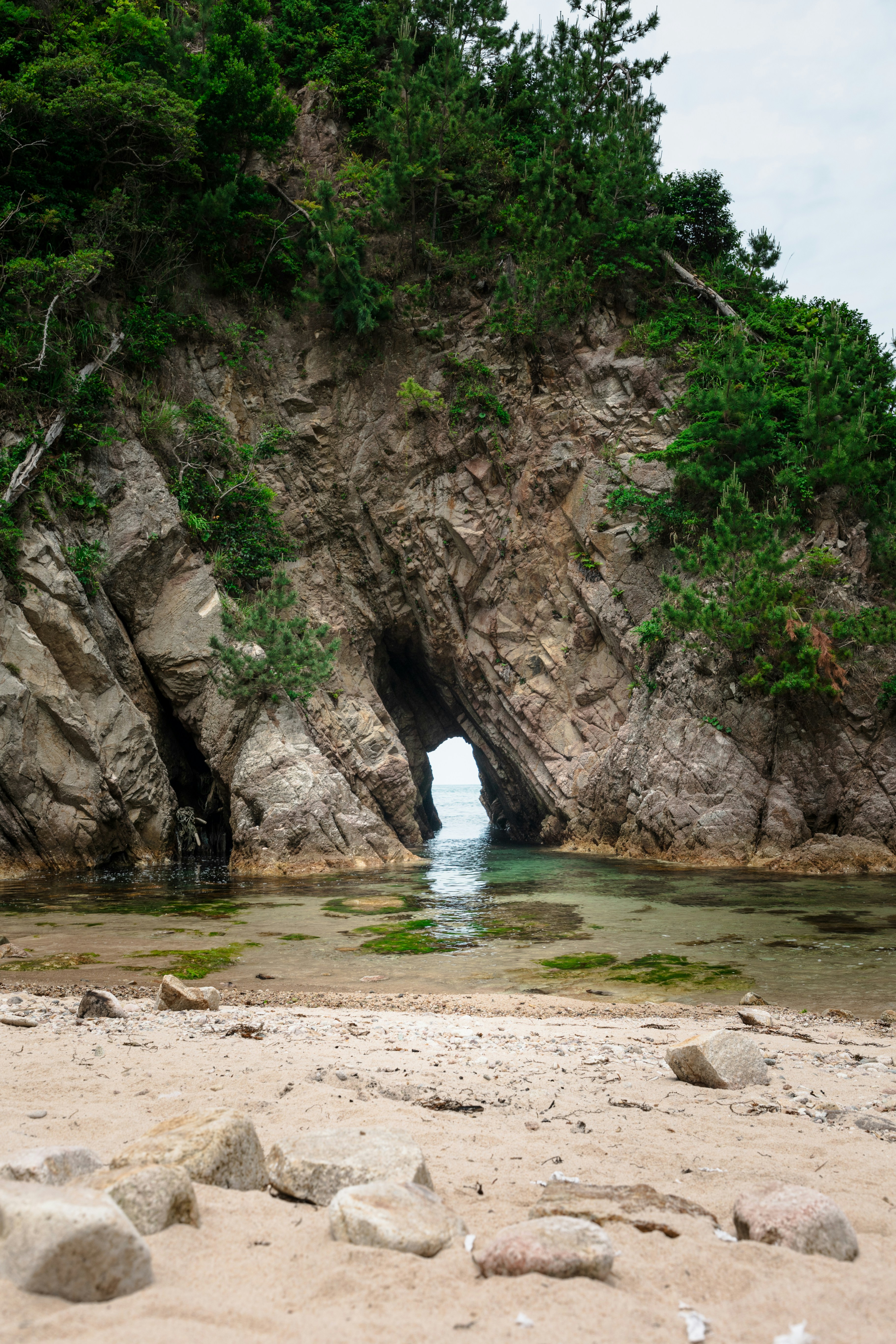 Portal of Stone: A Seaside Arch Framed by Pines