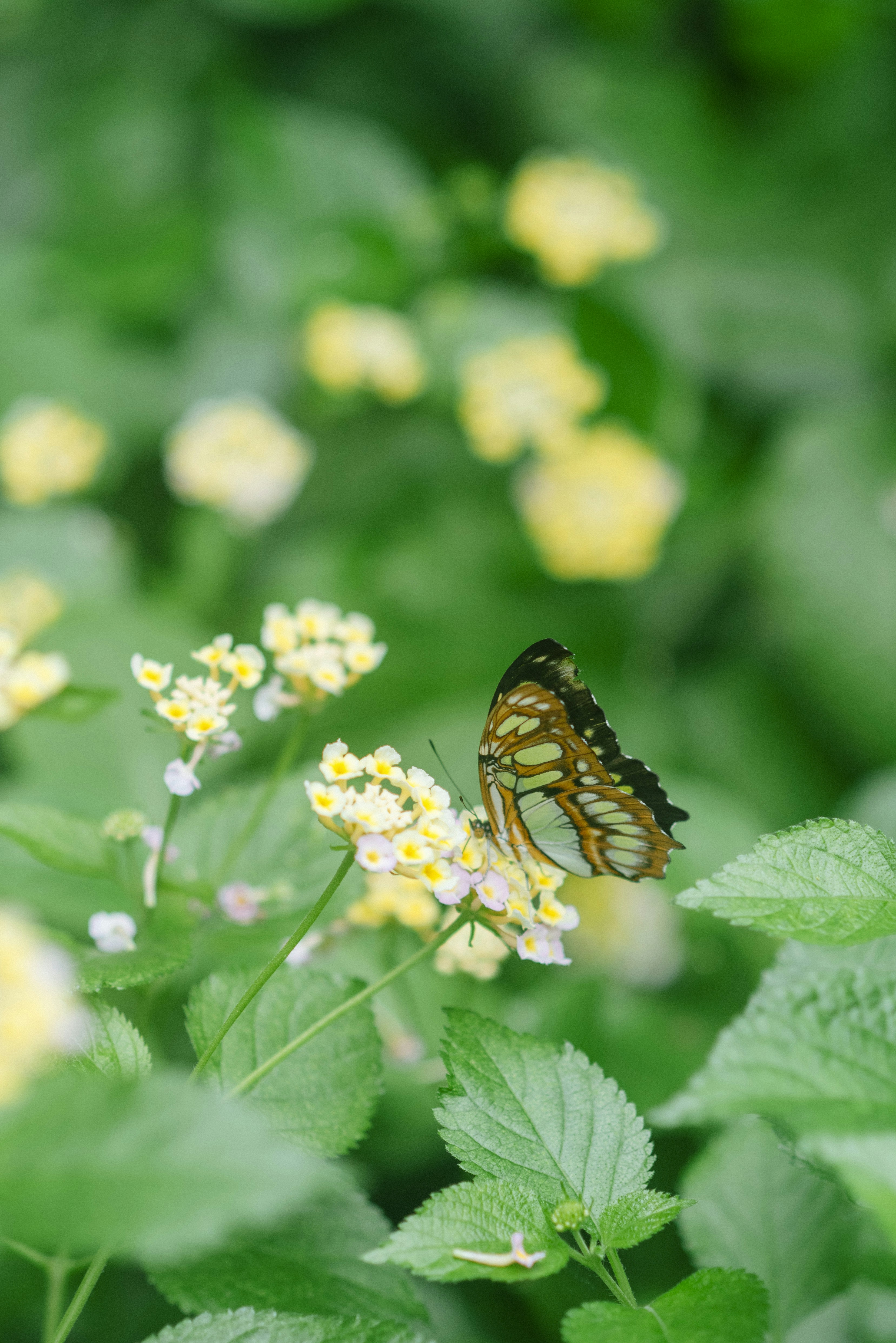 Stephanie Krist (@srpphoto) | Unsplashフォトコミュニティ