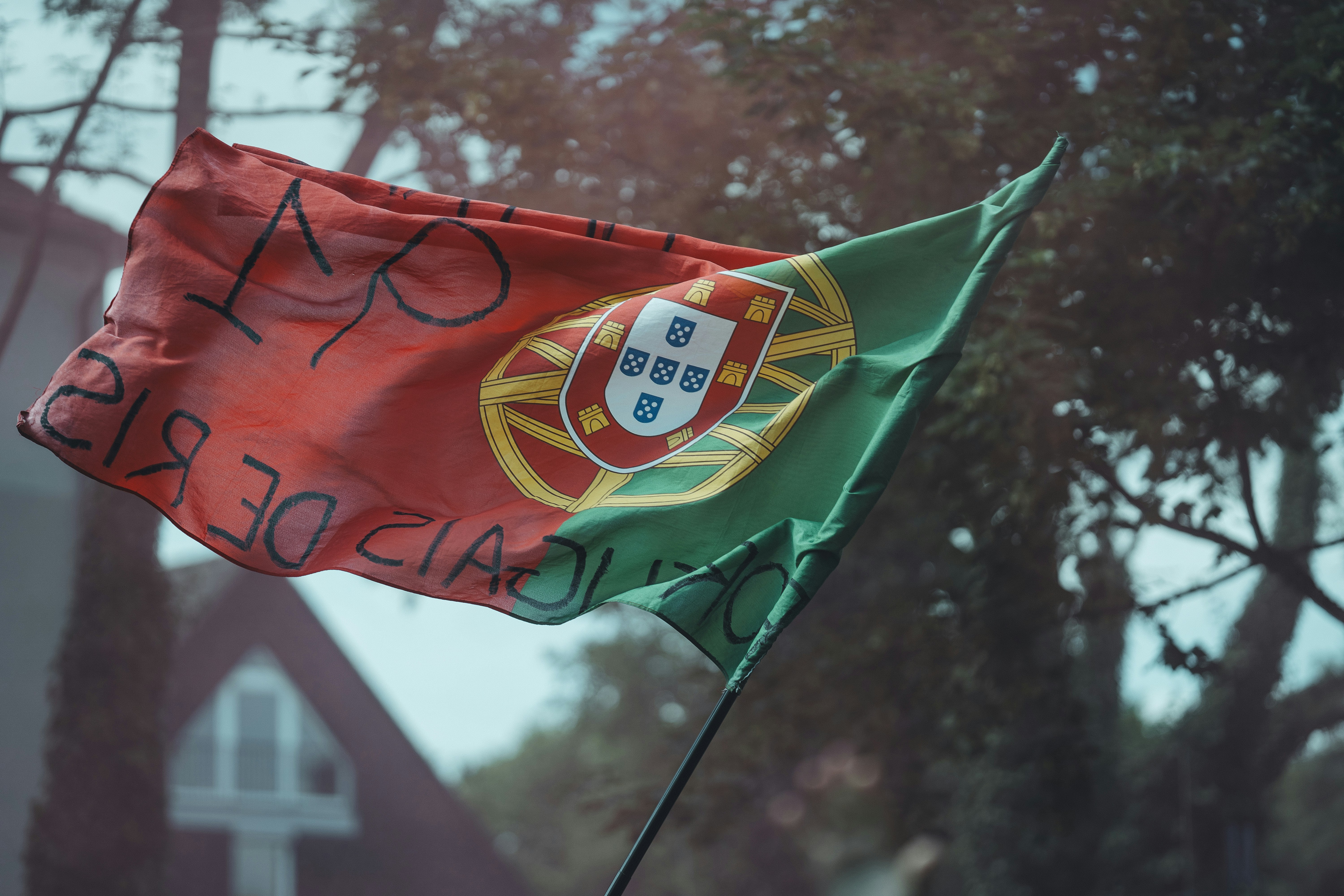 A red and green flag with a coat of arms on it photo – Free Flag Image ...