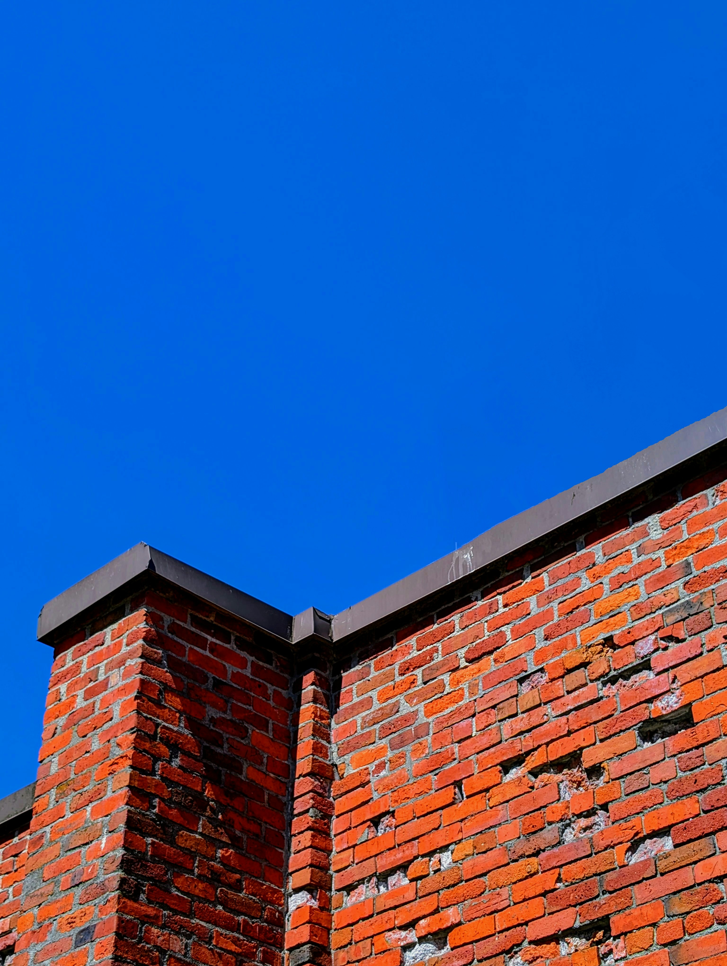 Sample photo from Google Pixel 8