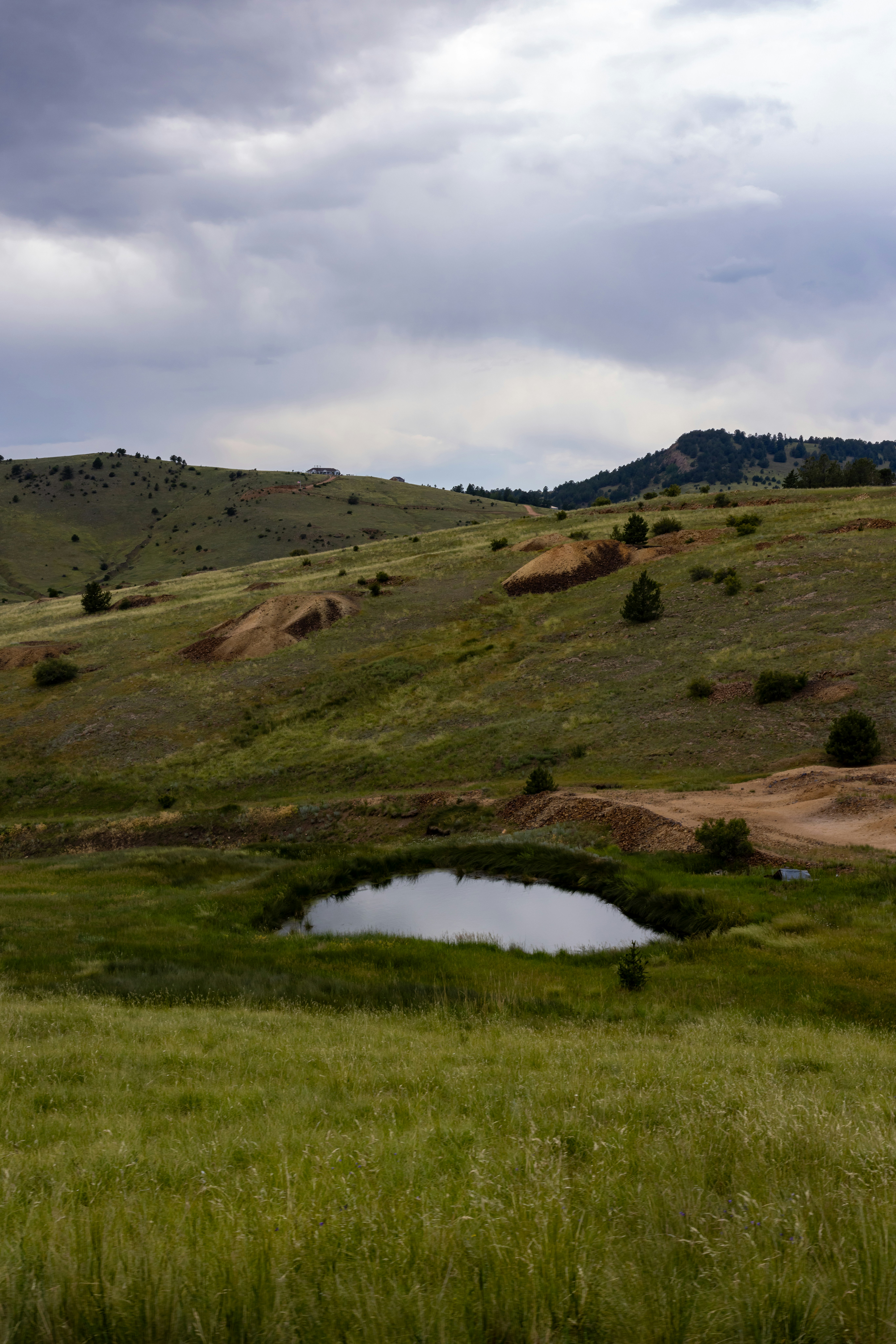 Whispers of the Hills: A Serene Landscape