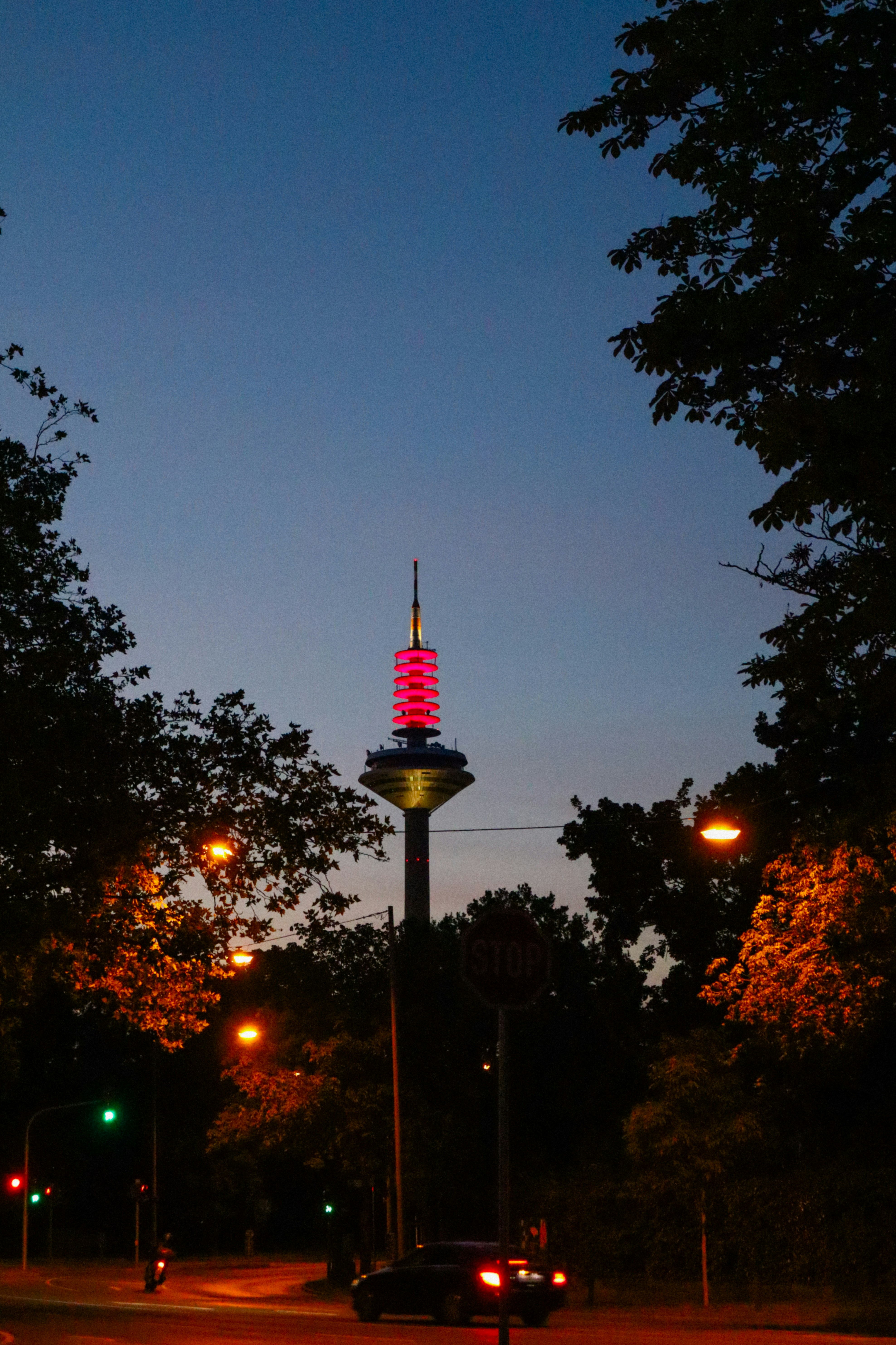 Twilight Pulse: The Pink Spire Rising Through a Tree-Lined Street