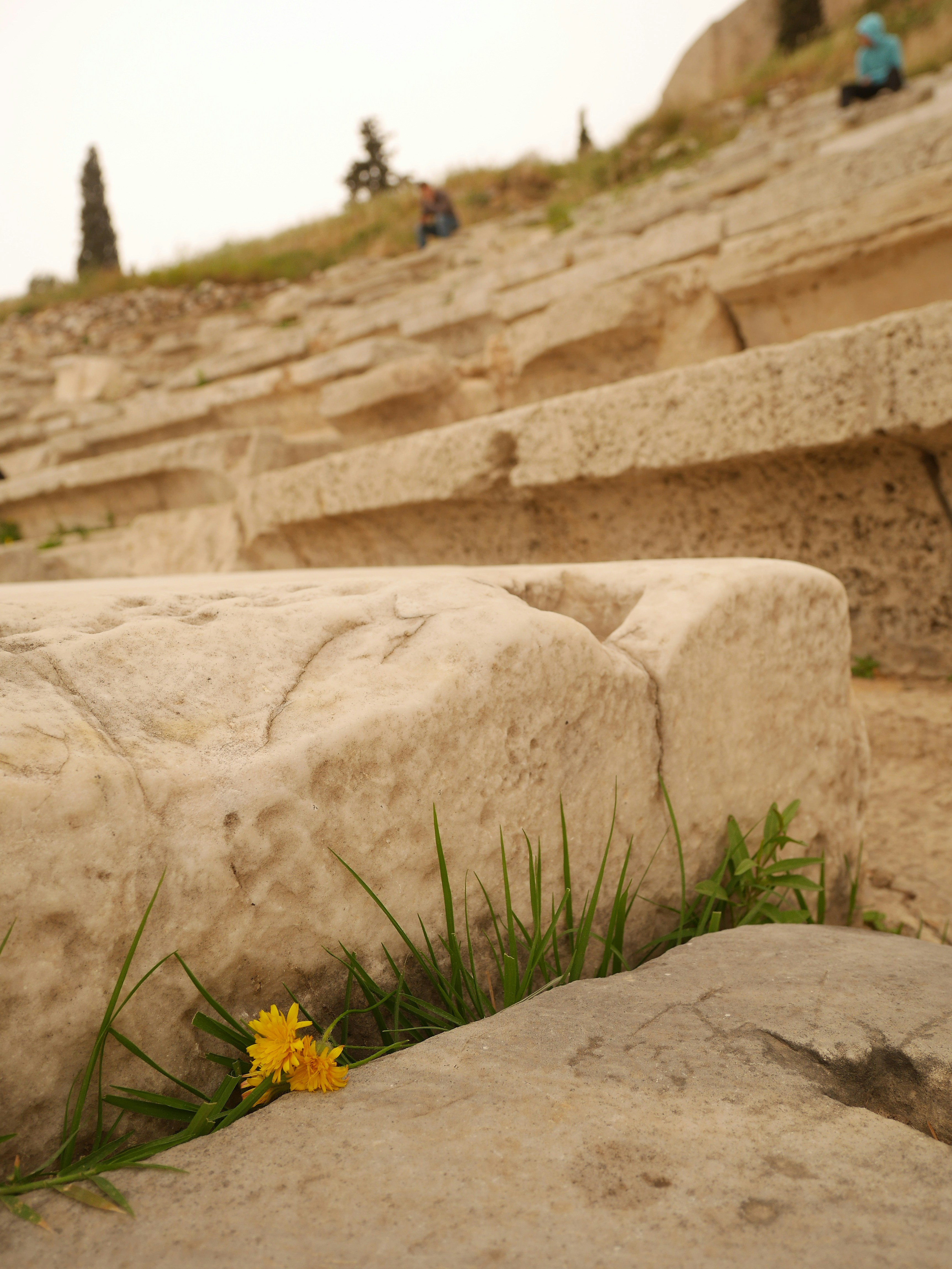 Ariel Tang (@crimsonmiraclet) | Comunidad de fotos de Unsplash