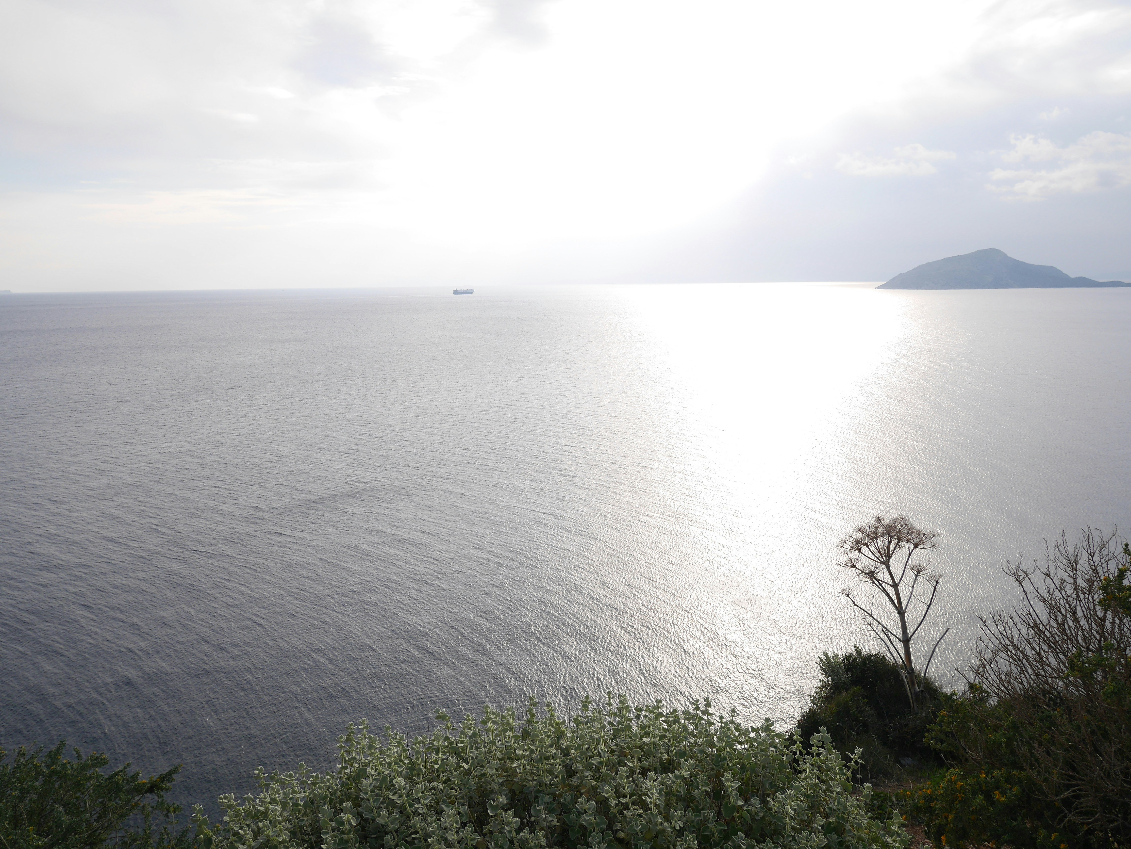 Ariel Tang (@crimsonmiraclet) | Comunidad de fotos de Unsplash