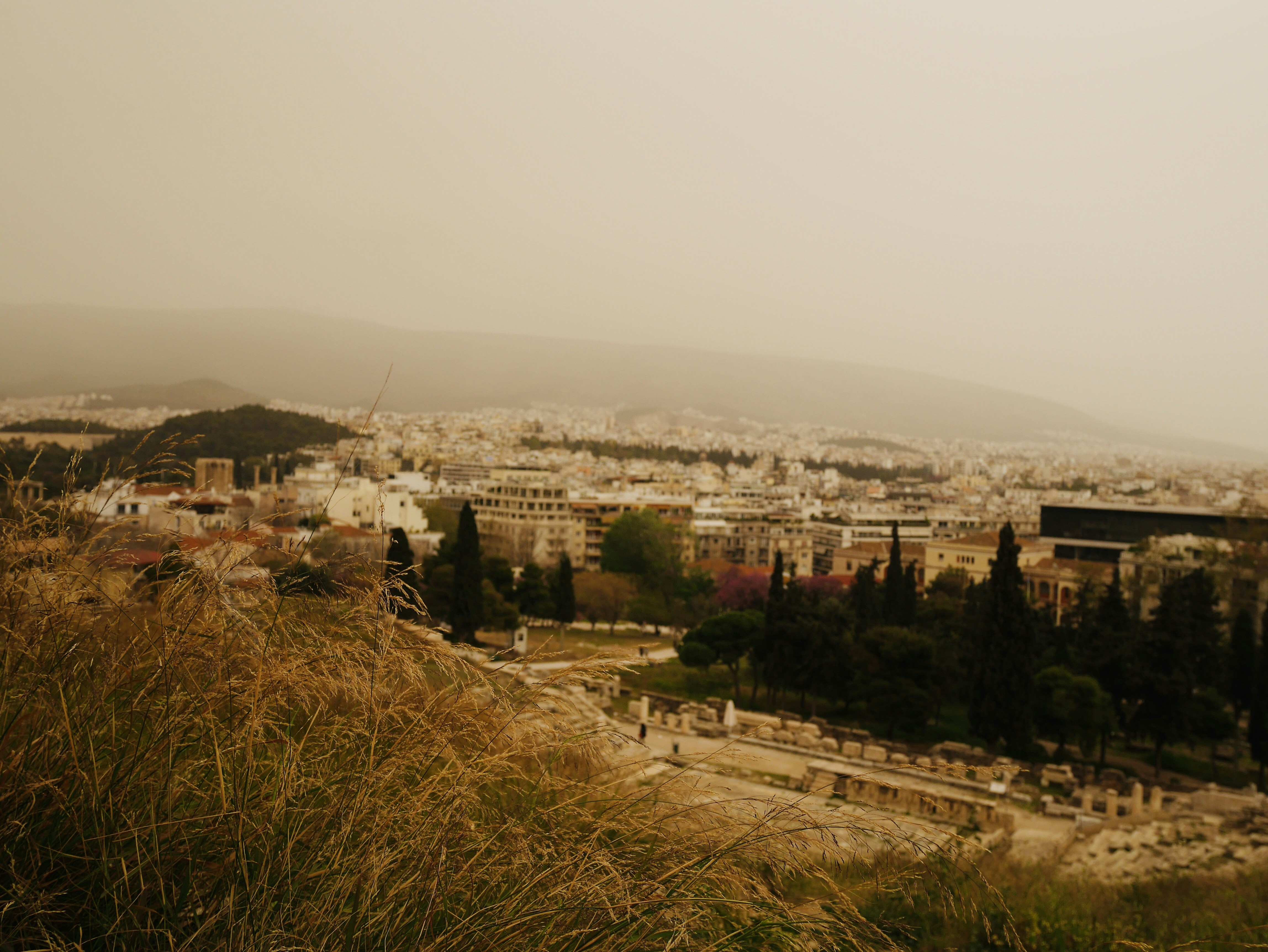 Grassy hillside overlooking a sprawling cityscape under a muted, hazy sky.