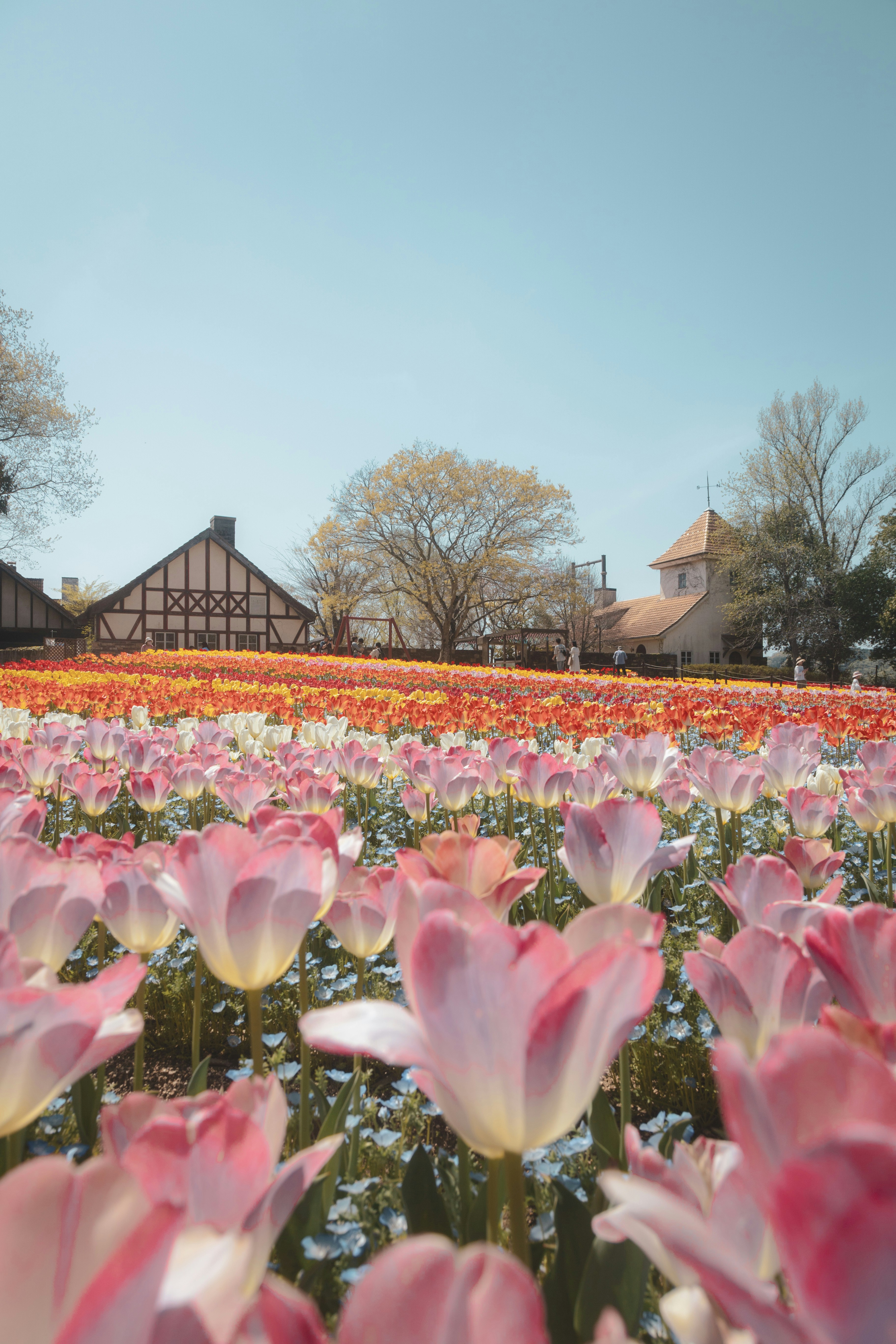 Photo by Gaku Suyama with Canon EOS R6
