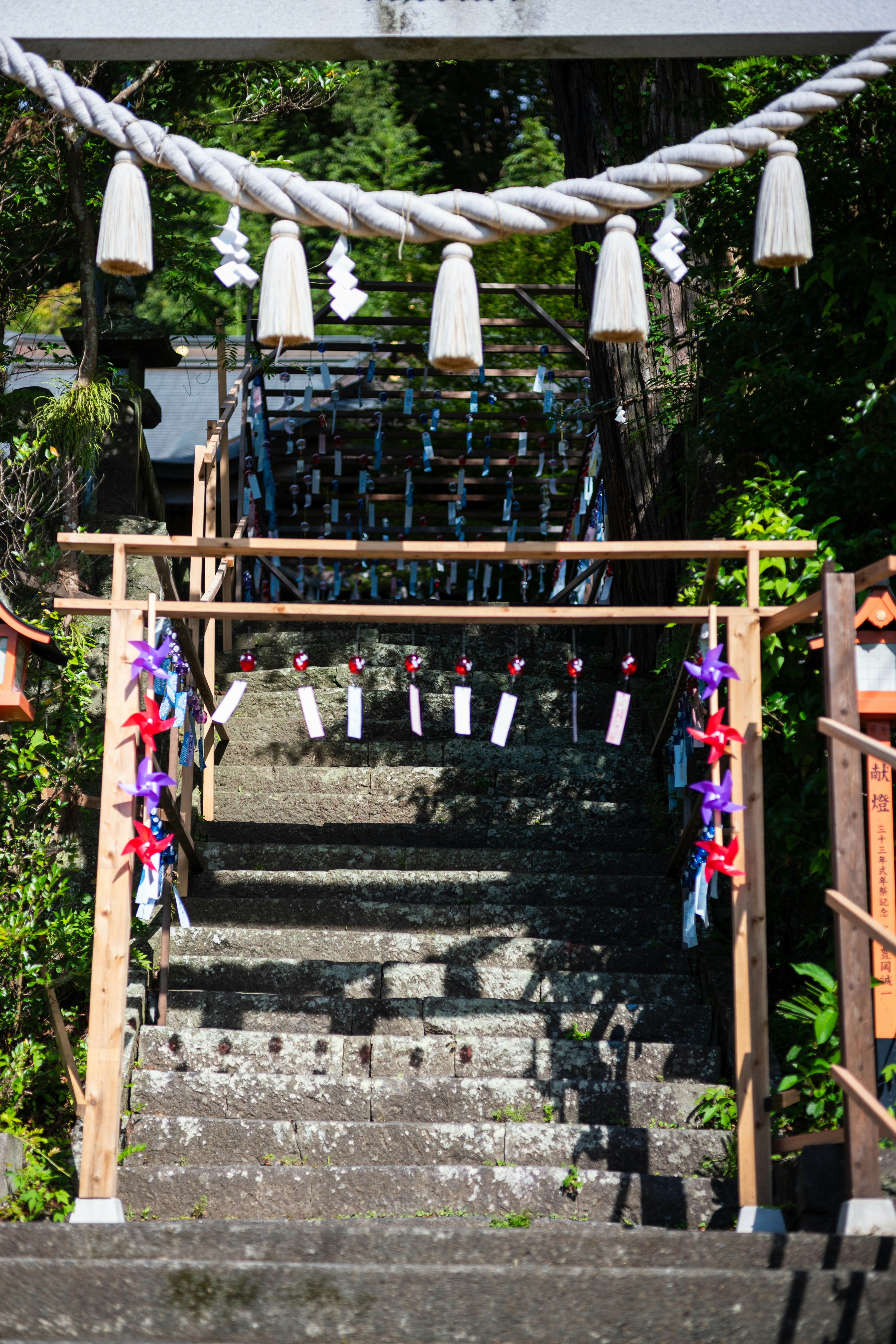 Photo by Kouji Tsuru with Nikon Z6 III