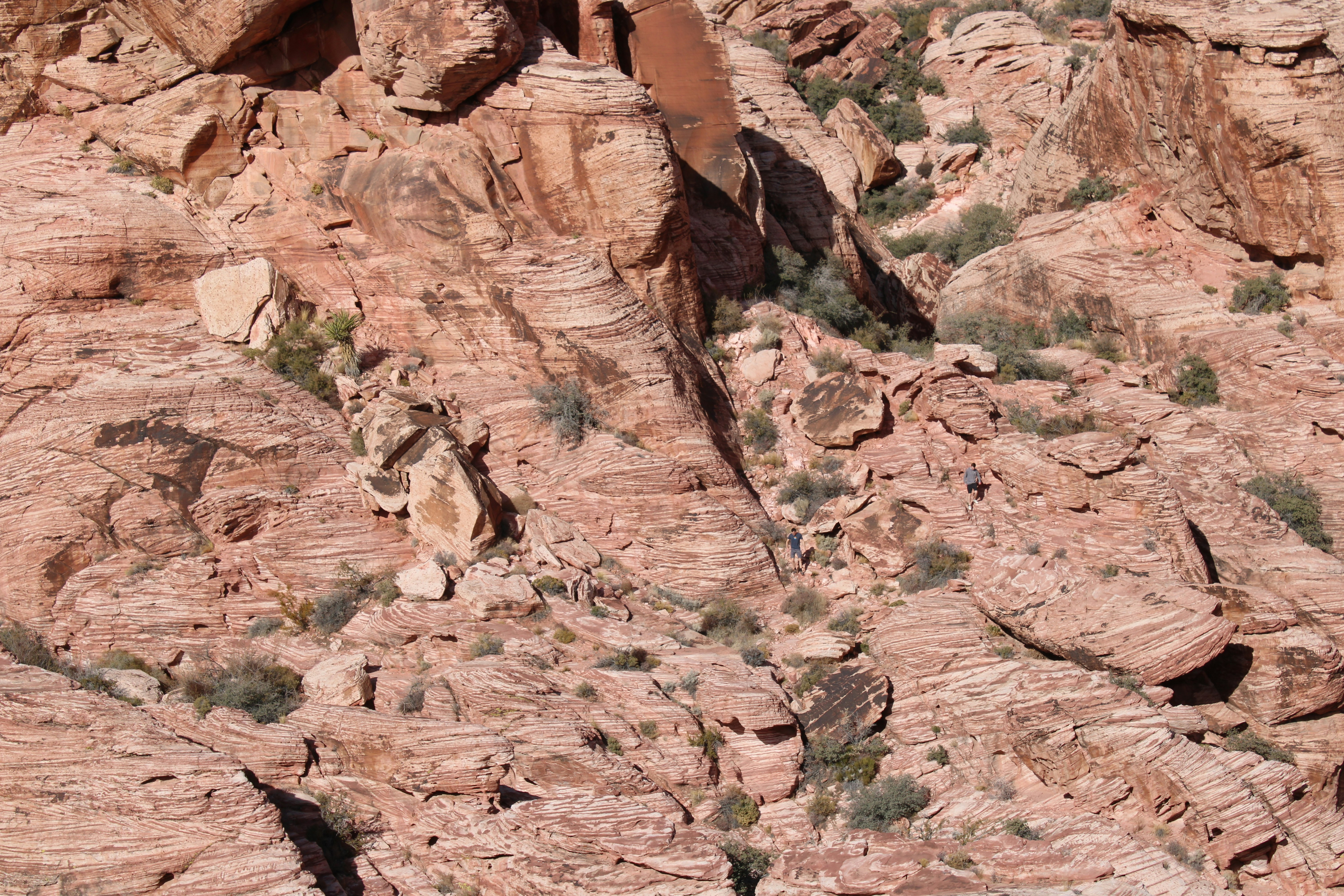 Layered Ember: Red Canyon Facets Under Desert Light