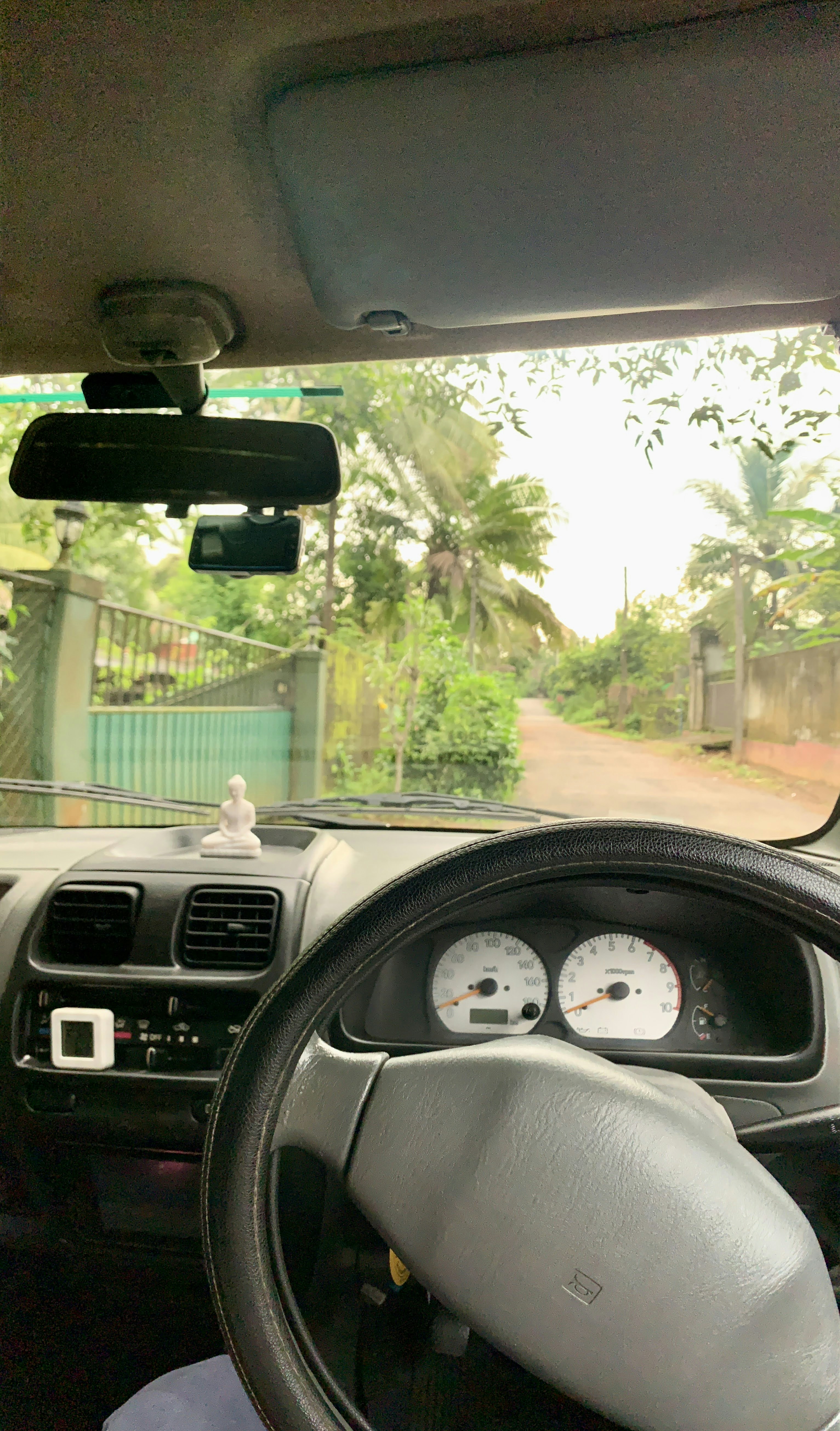 Verdant Drive: A Dashboard View Through a Sunlit Windshield