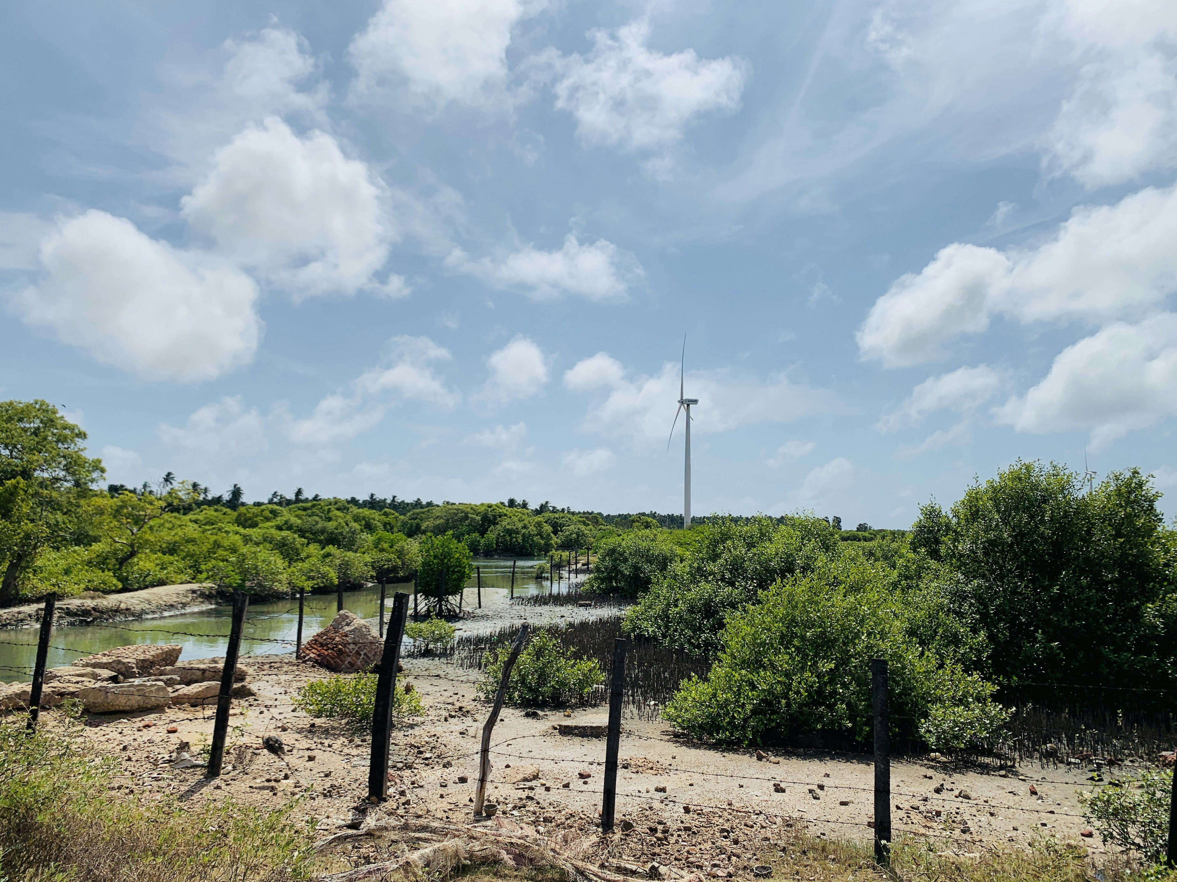 Windward Scene: A Lone Turbine Over Coastal Shrubland