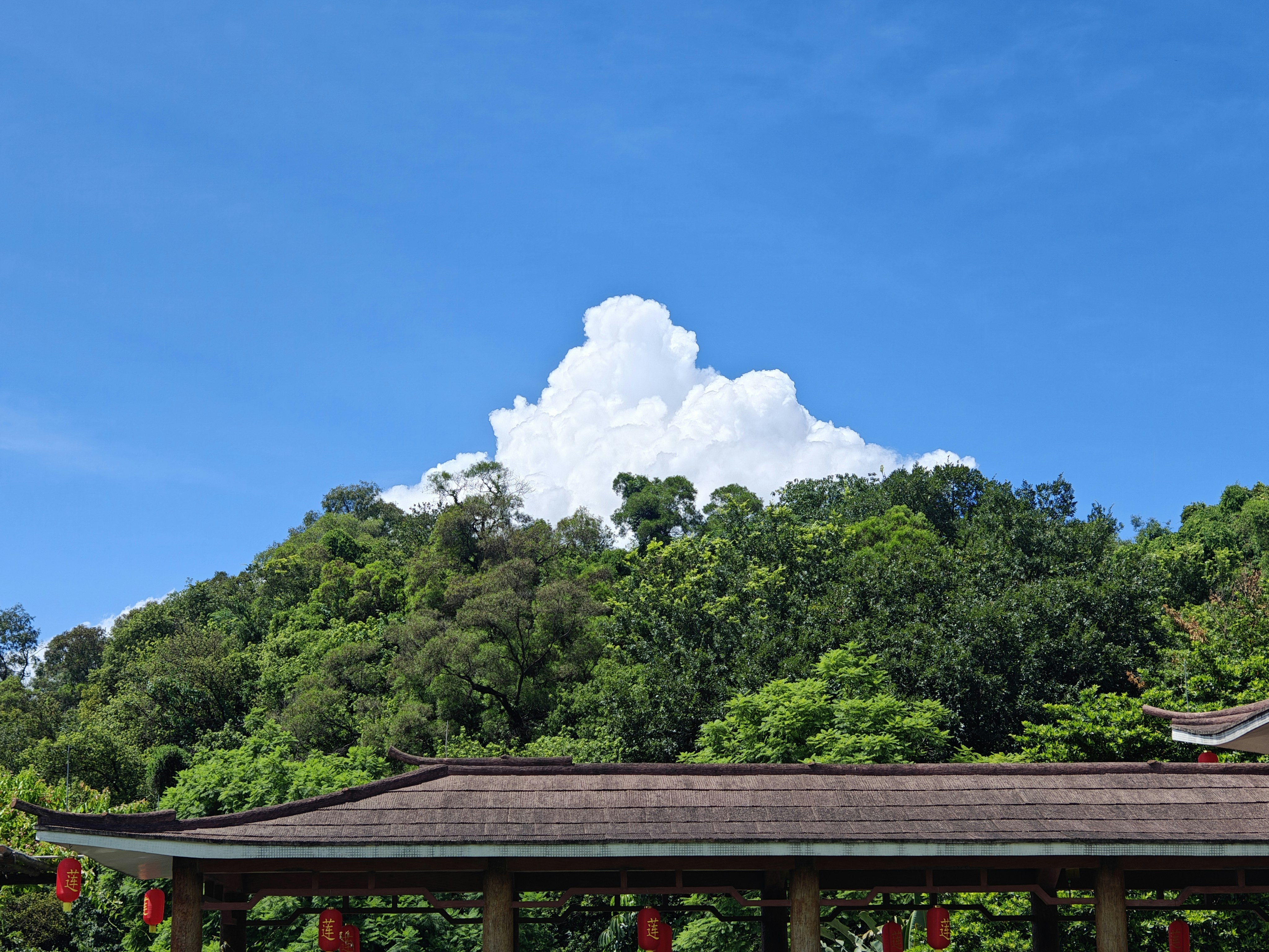 Photo by Wu Zhongyi with Oppo Find X7 Ultra