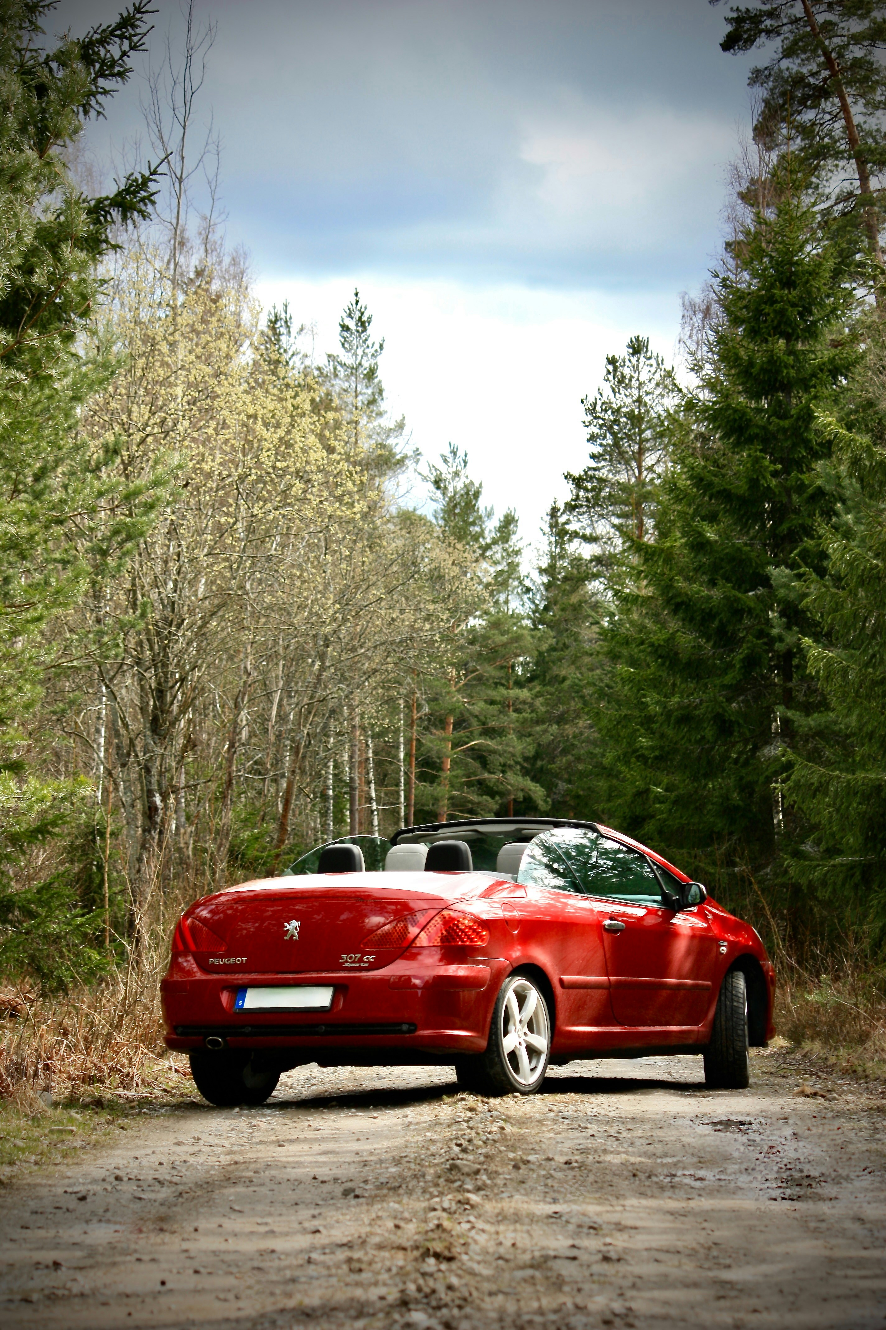 Scarlet Peugeot Convertible on a Pine-Lined Forest Road