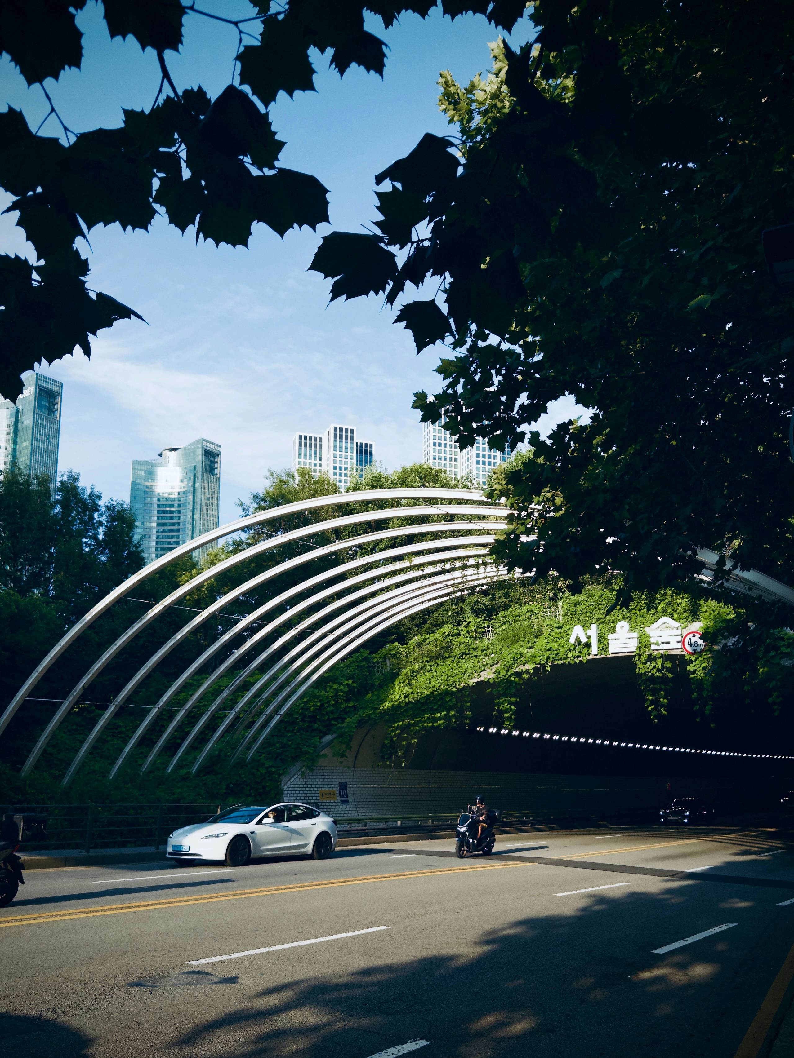 Arc of Quiet Motion: A Sunlit Street Framed by Steel Ribs