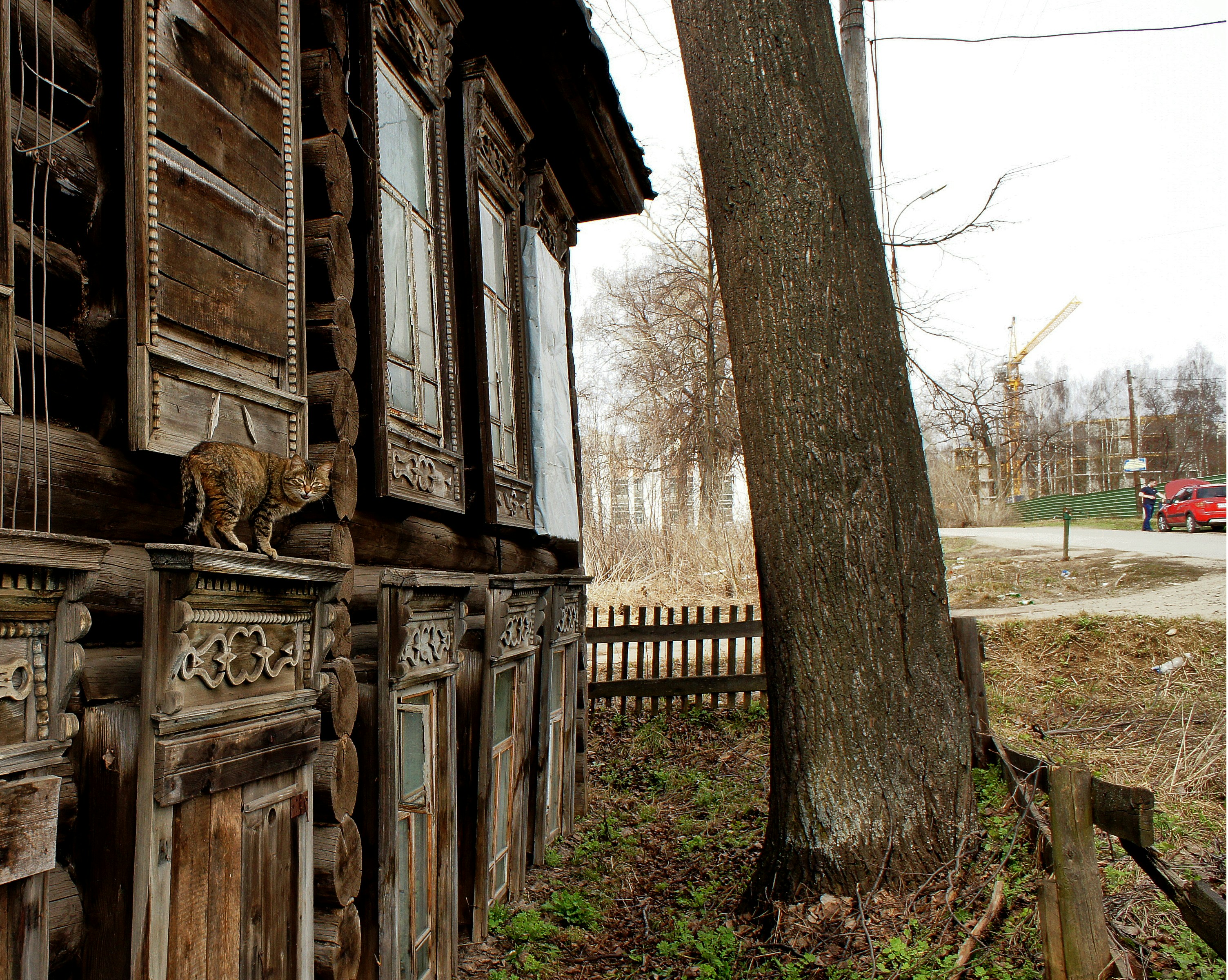 Cat on a carved wooden ledge: quiet intrigue by an old house