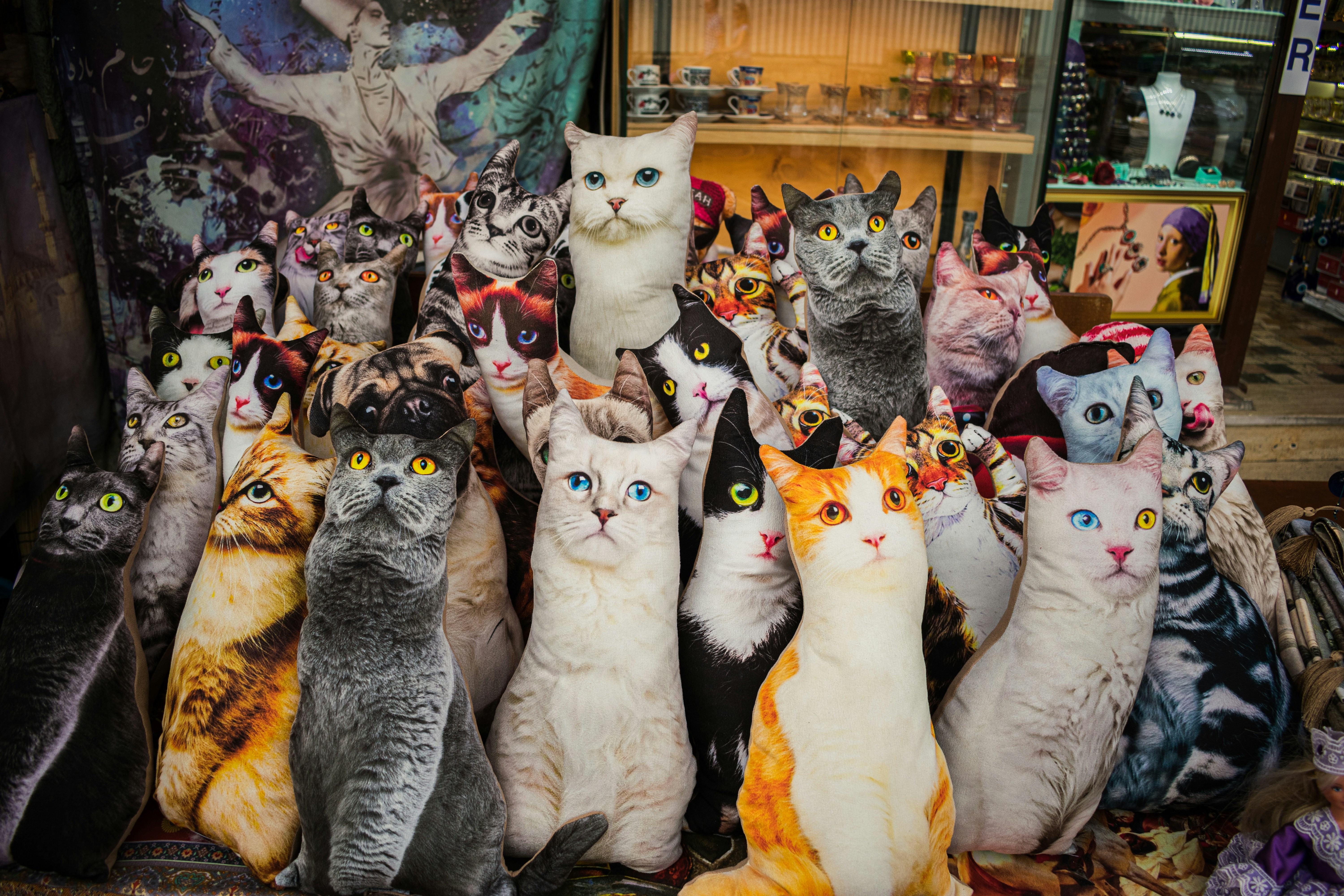 A group of cats sitting on top of each other