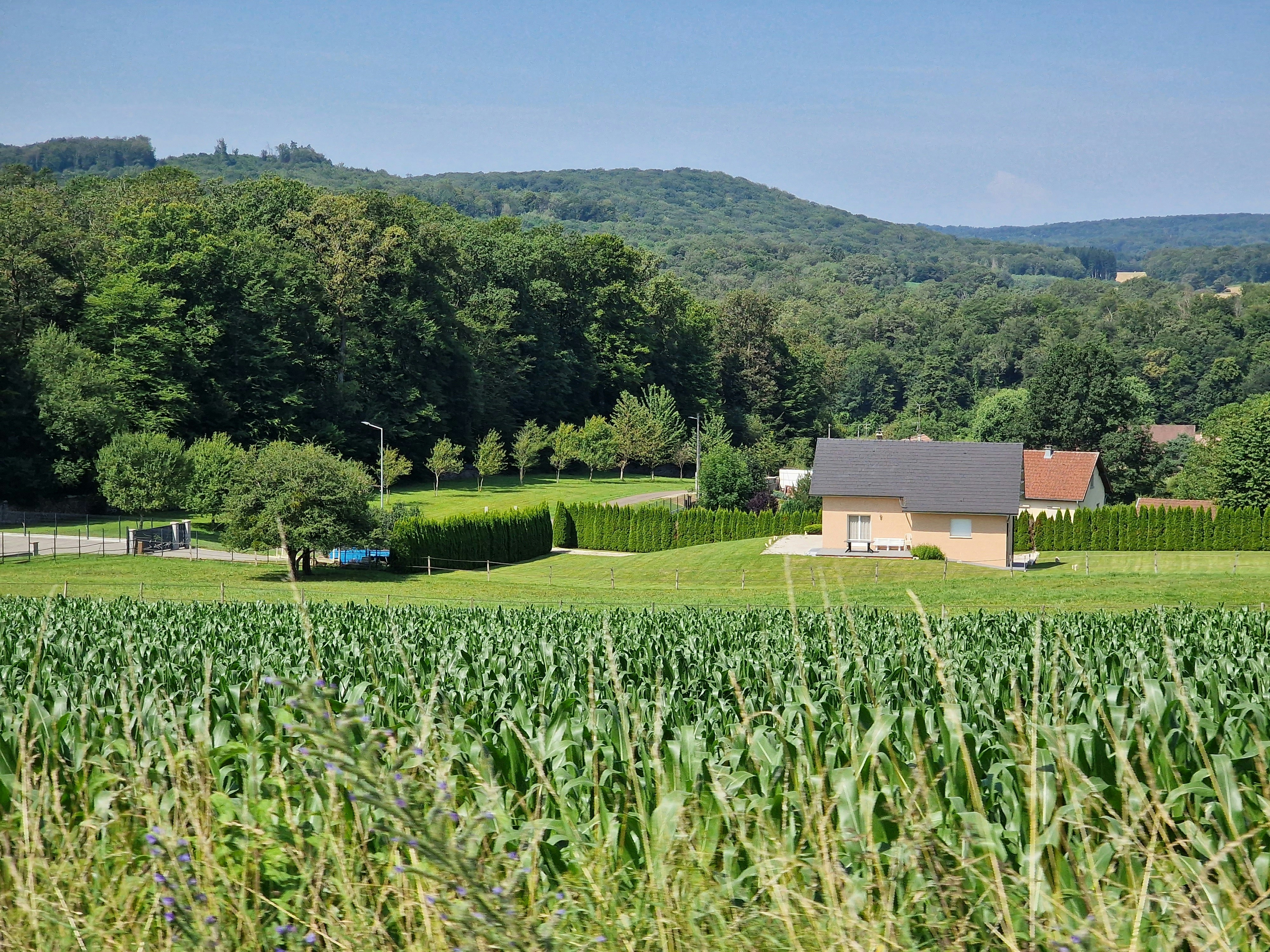Small Farm Pictures | Download Free Images on Unsplash
