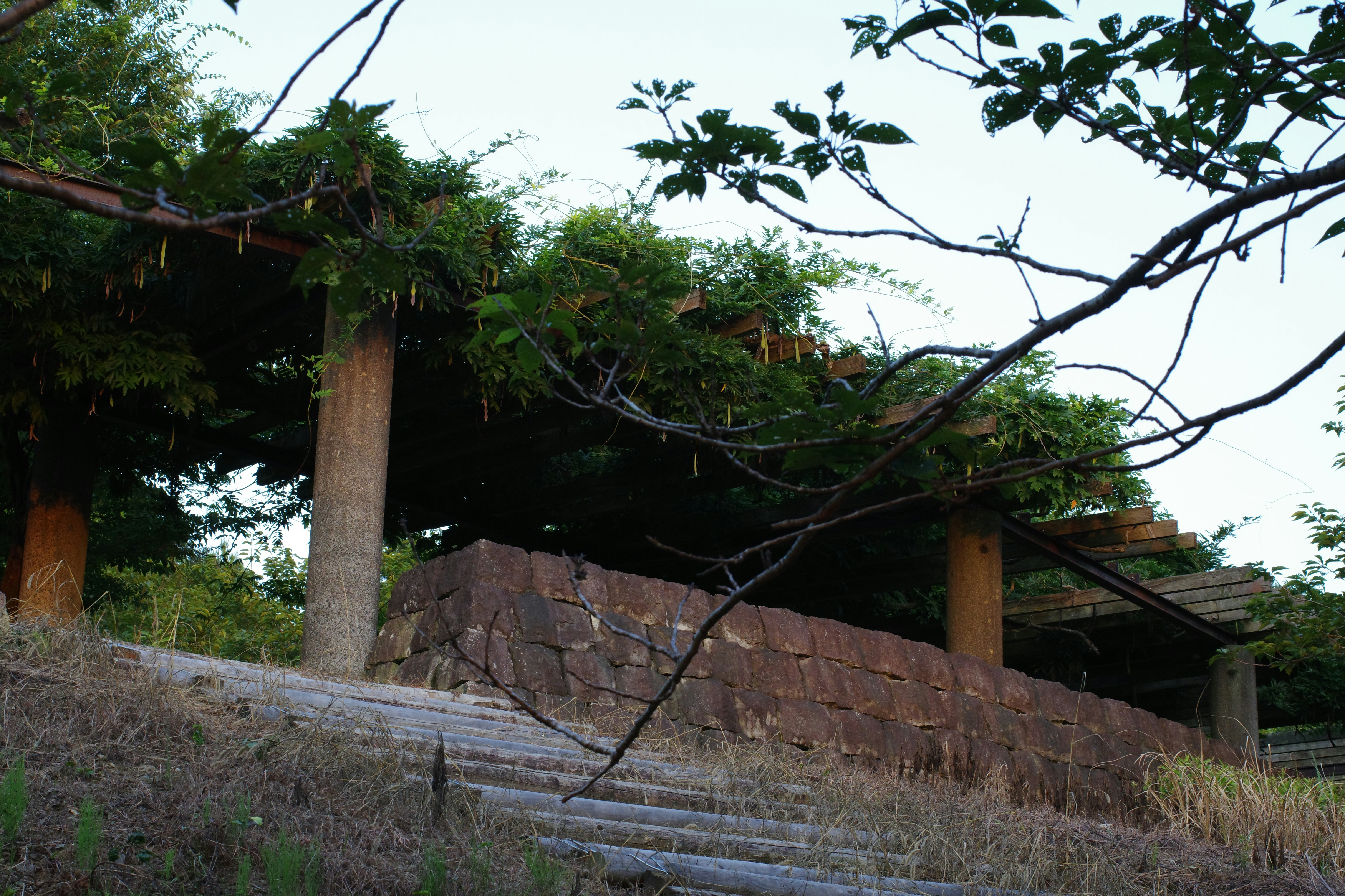 Verdant Veranda: A Crumbling Stone Shelter on a Hill