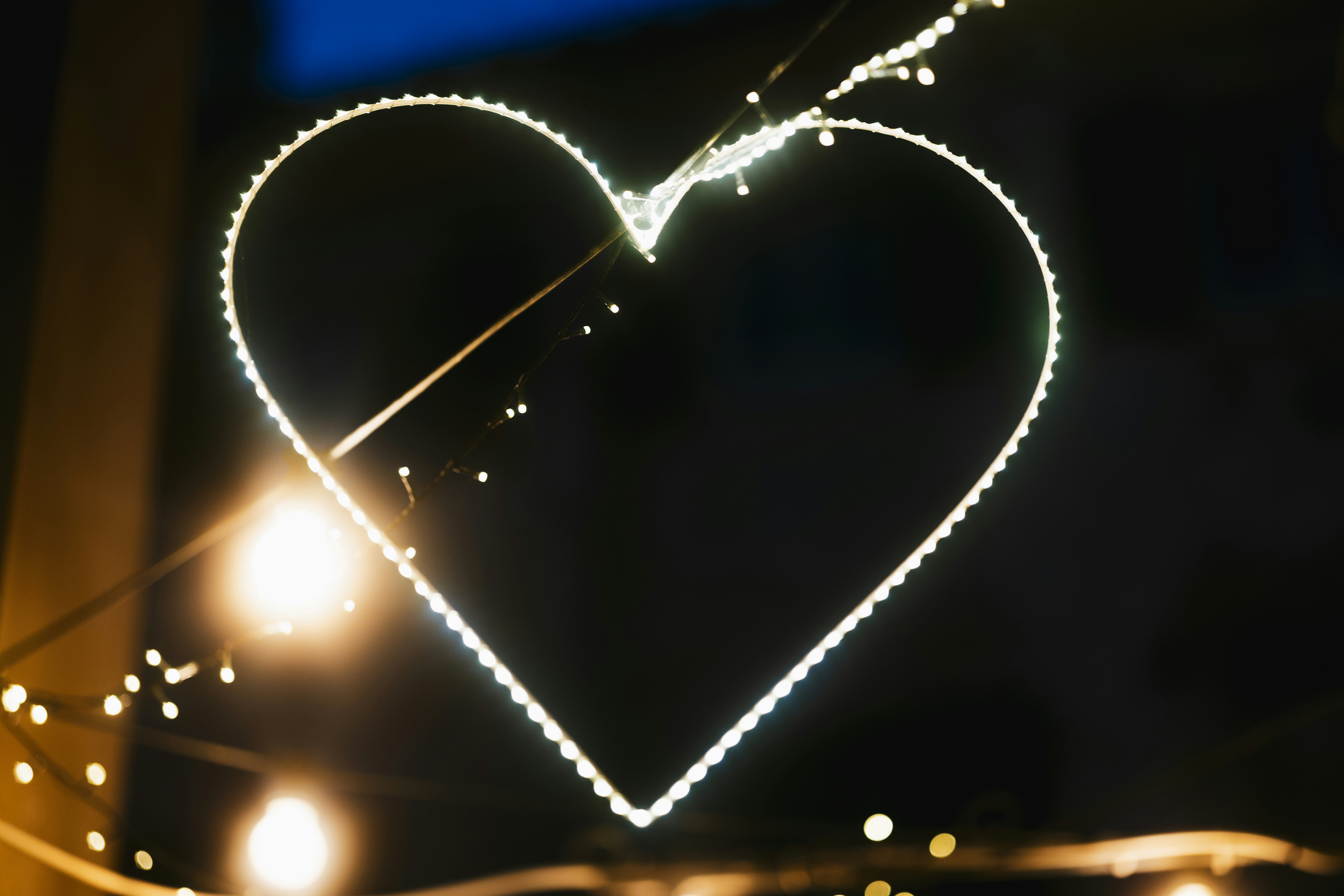 Photo by Christian Dübendorfer with Canon EOS R5