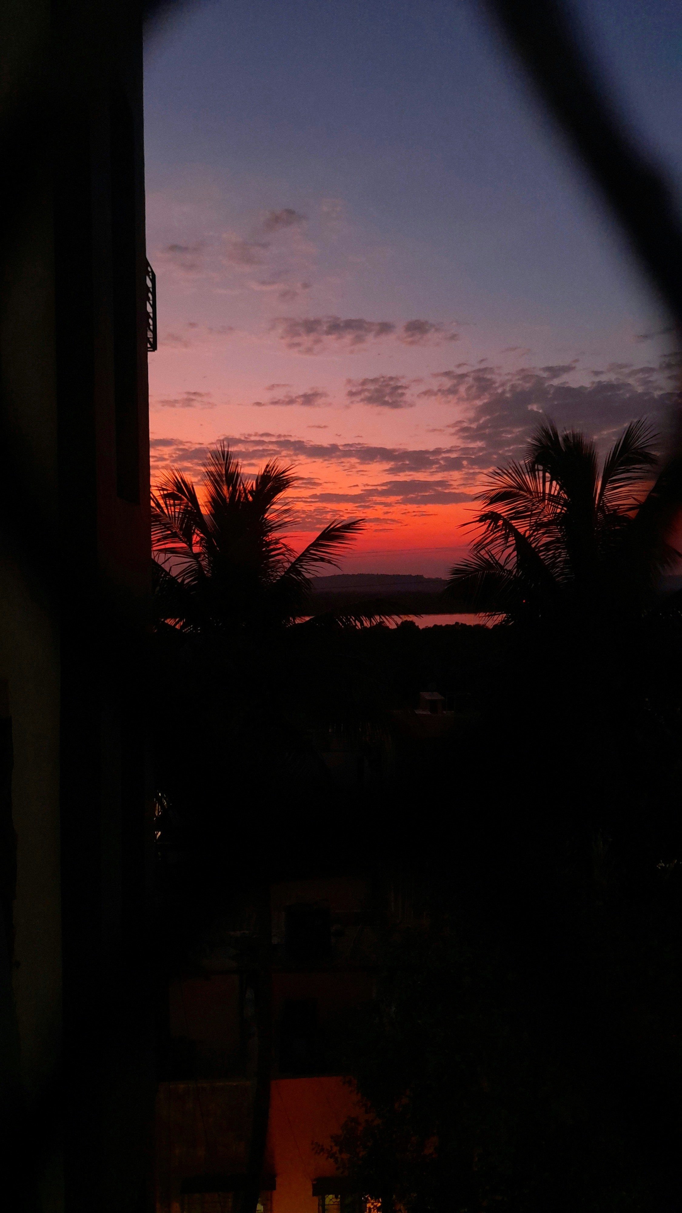 Vedanti Nikam (@ved208) | Unsplash Photo Community