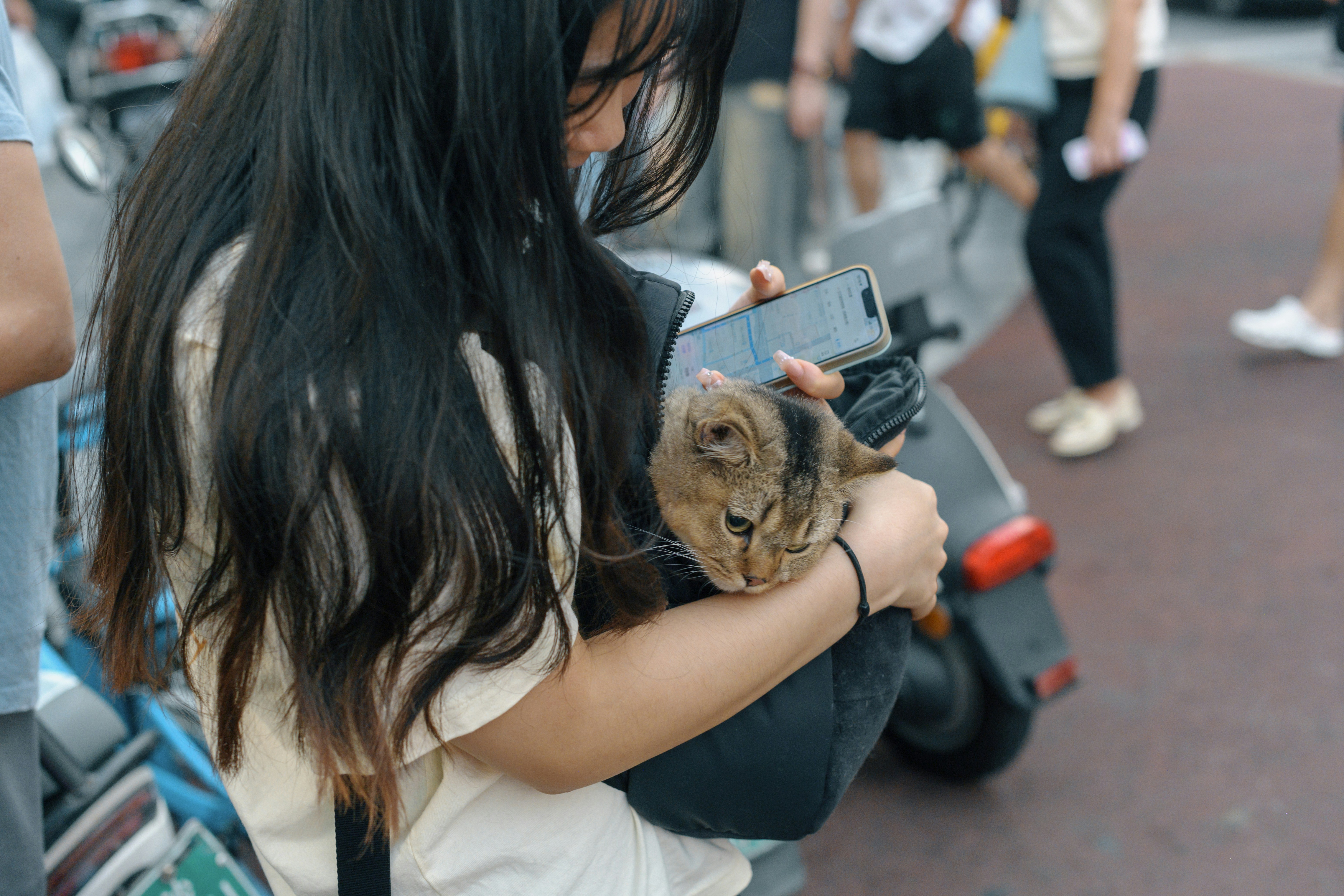 Armful of Purrs: A City Street Moment with Cat and Screen