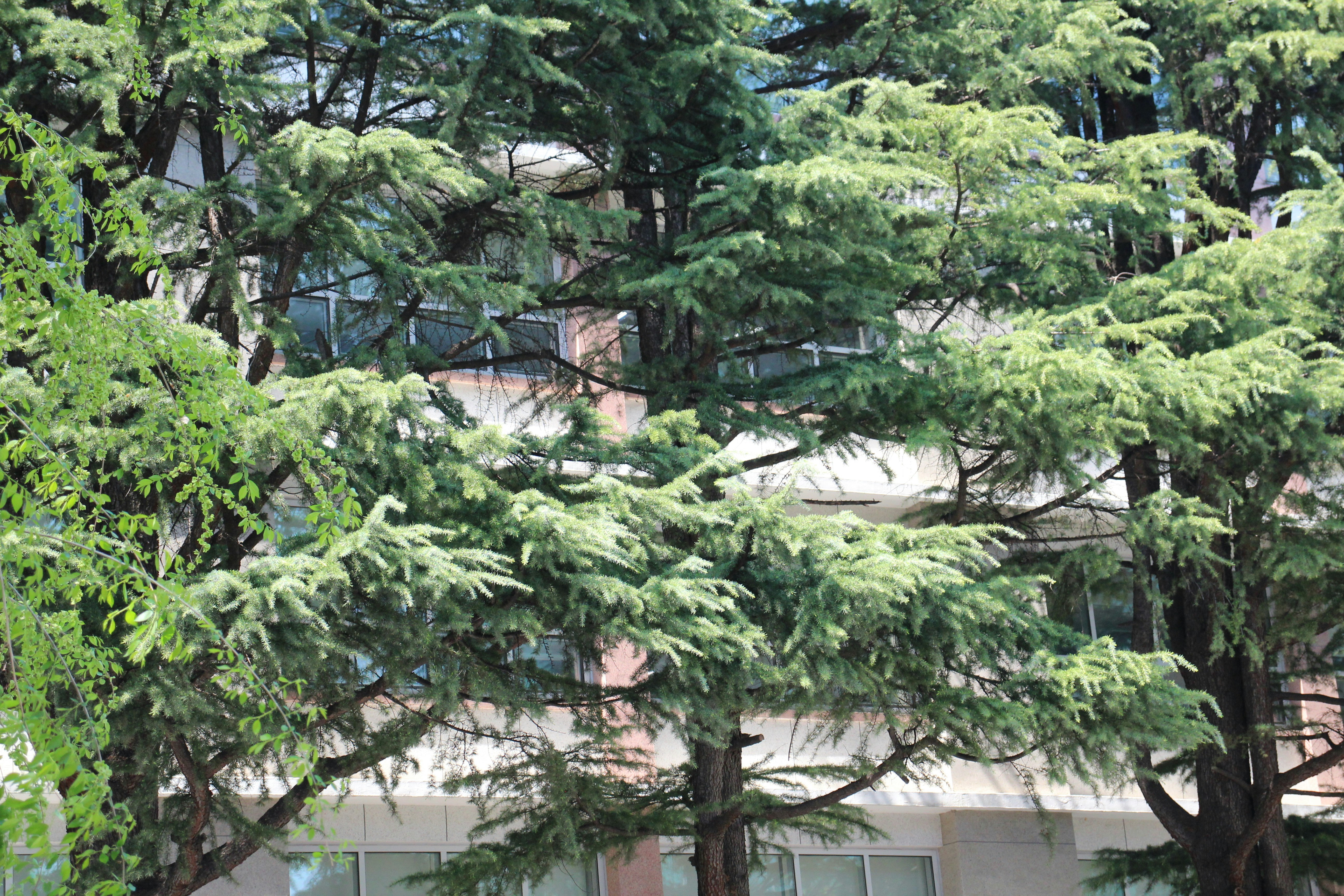 Photo by CH L with Canon EOS 600D