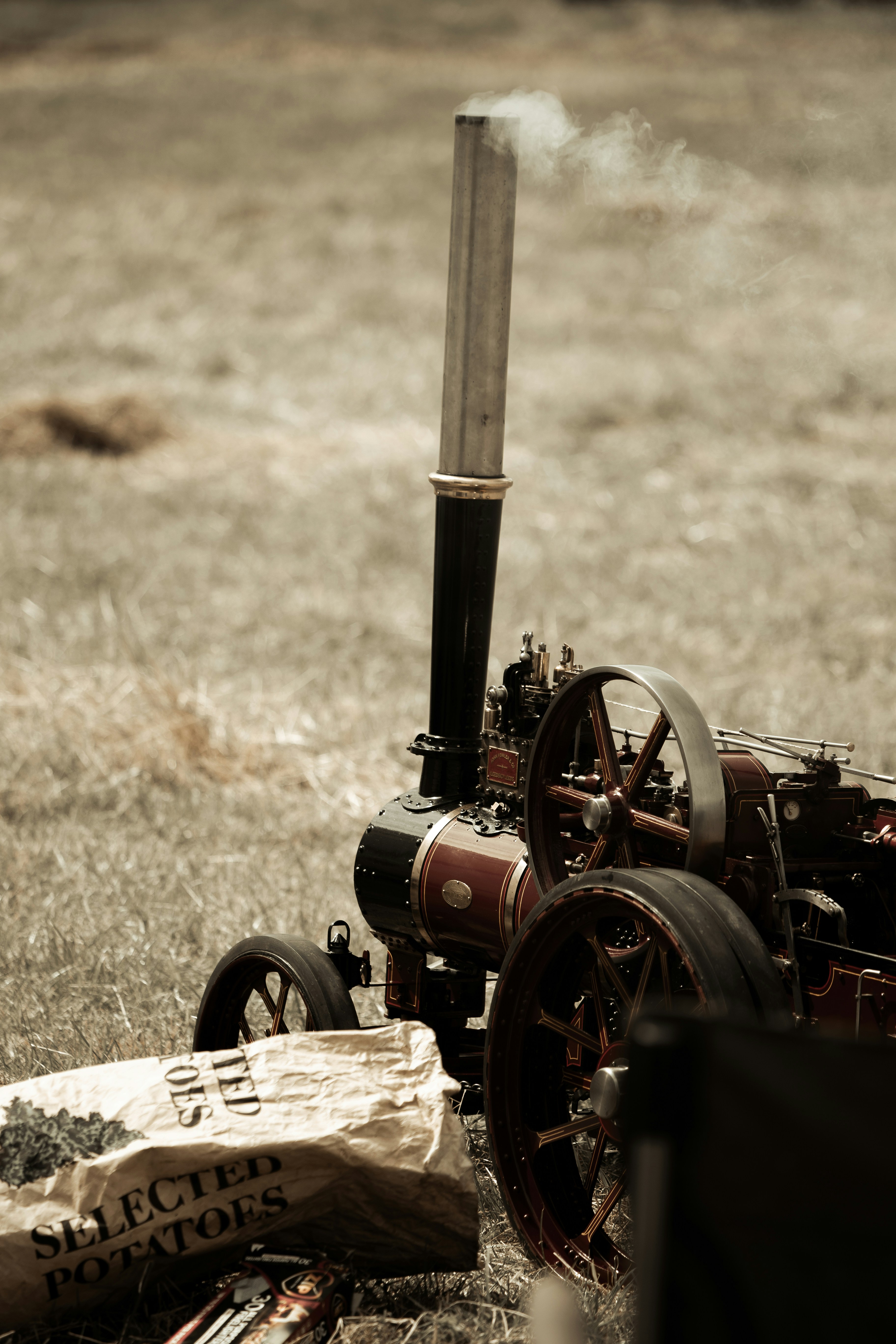 Trailing steam and iron: a vintage field engine rests in an afternoon glow