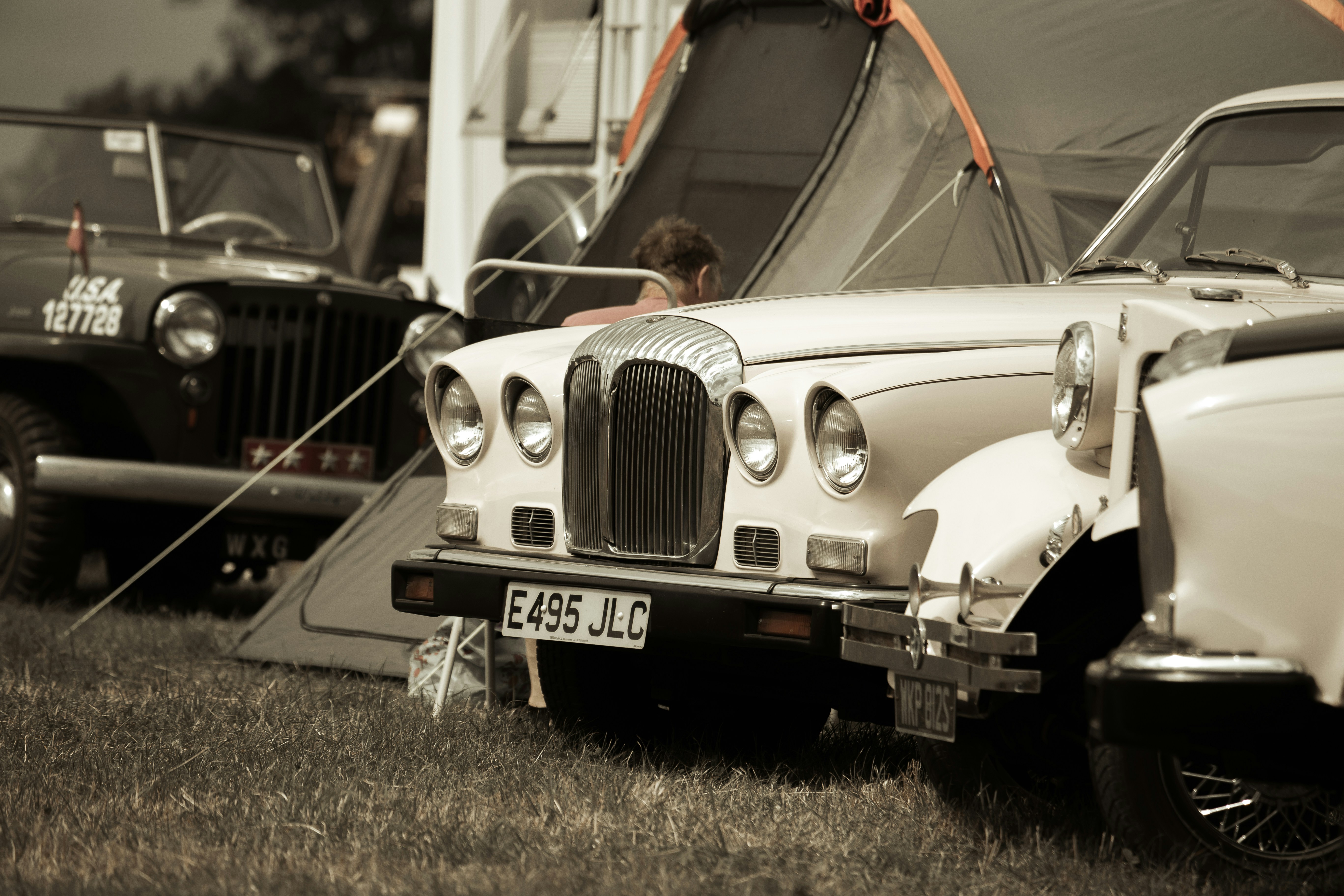 Chrome Promise: A Row of Vintage Sedans Beside a Campout