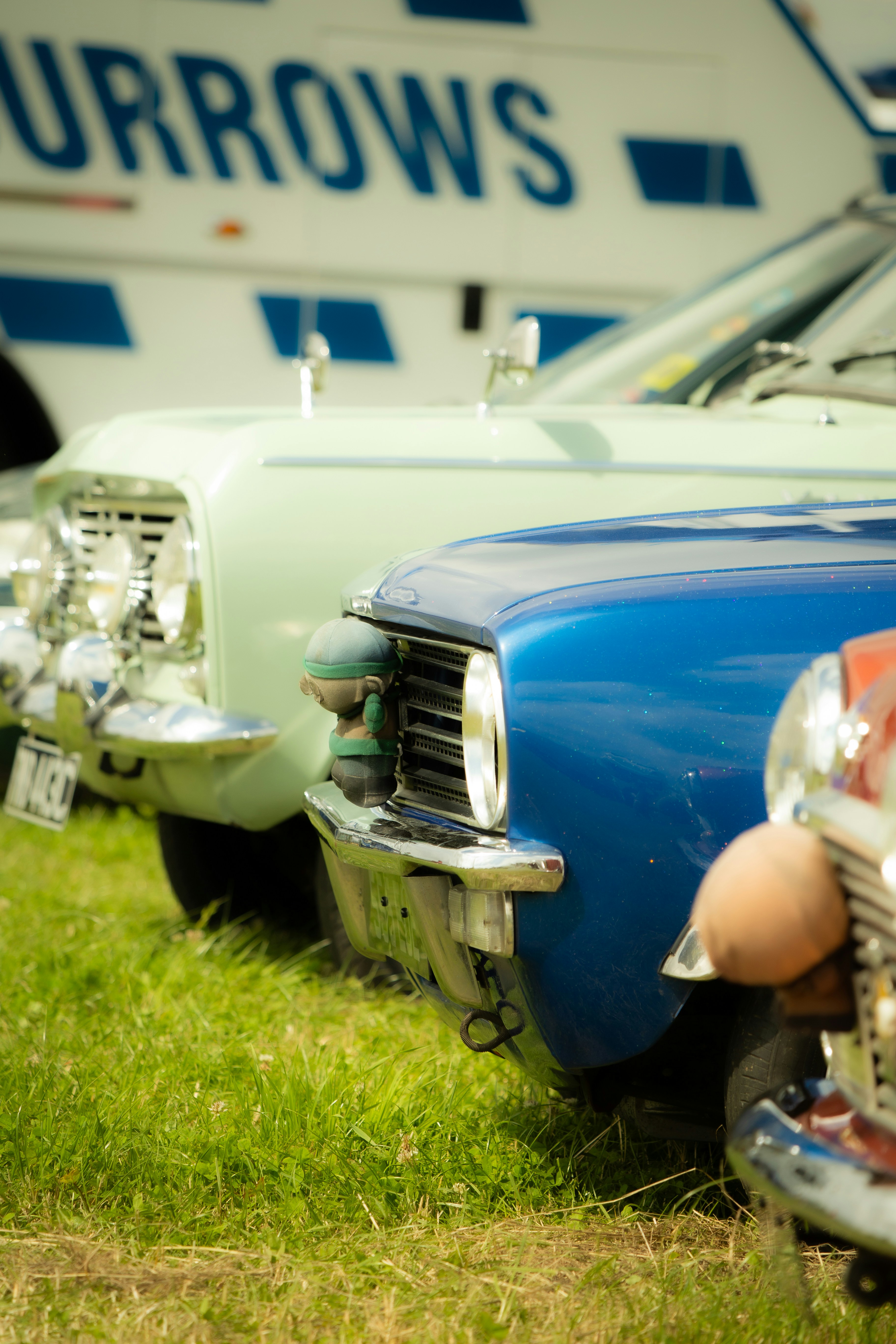 Chromed Curiosities: Vintage Cars Parked on a Lush Field