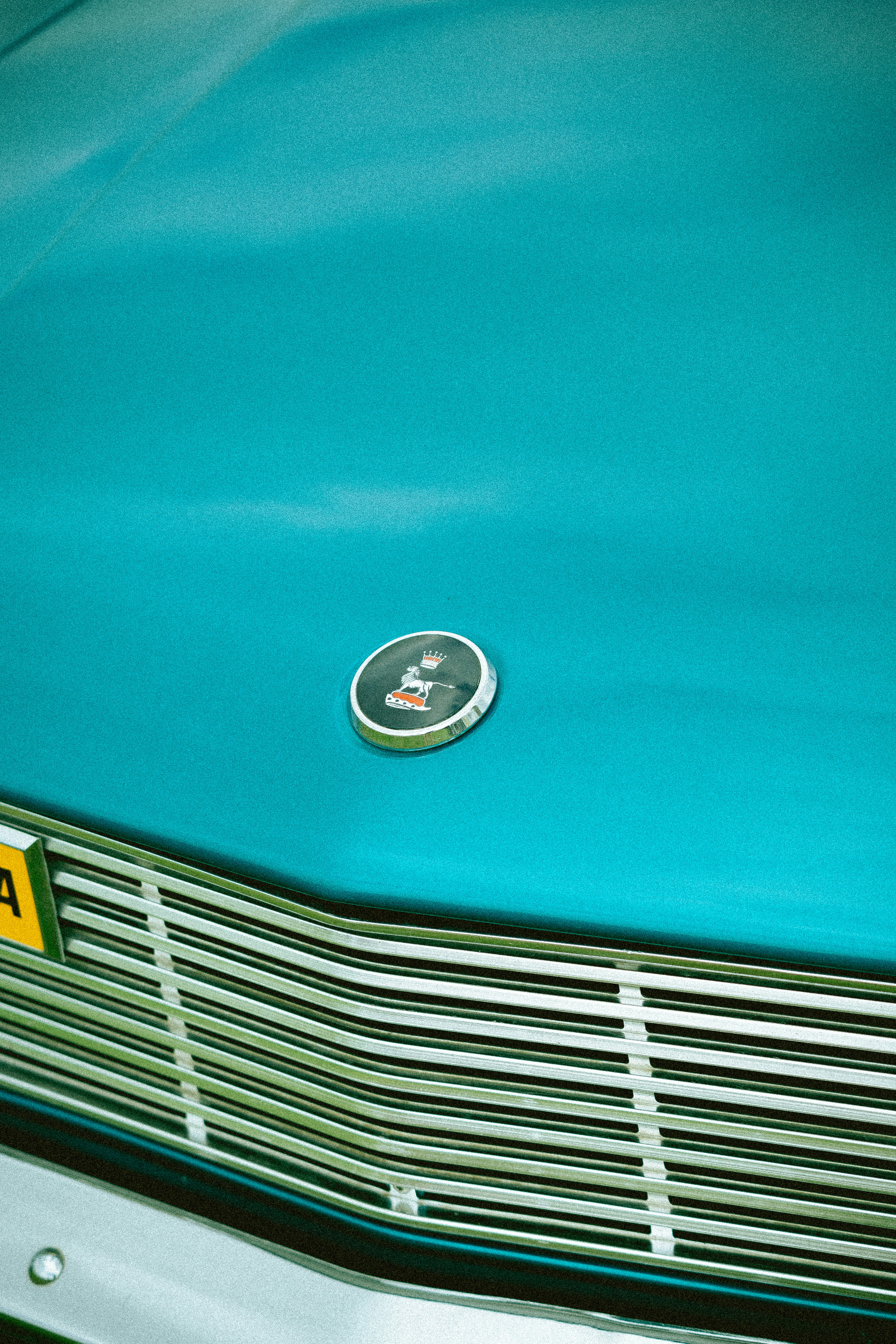 Cobalt Crest: Circular Emblem on a Turquoise Hood