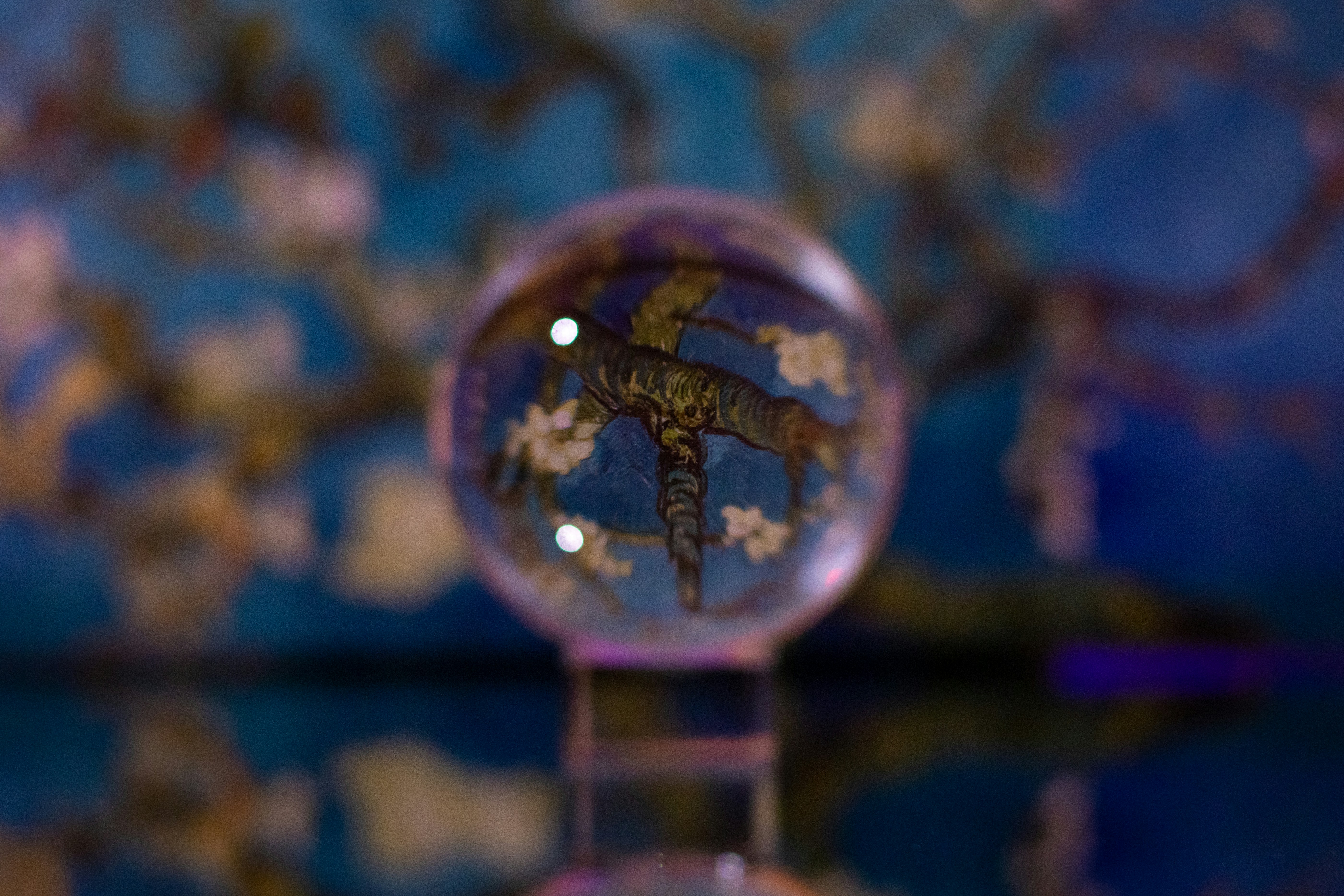 Reflections of Nature: A Crystal's Embrace