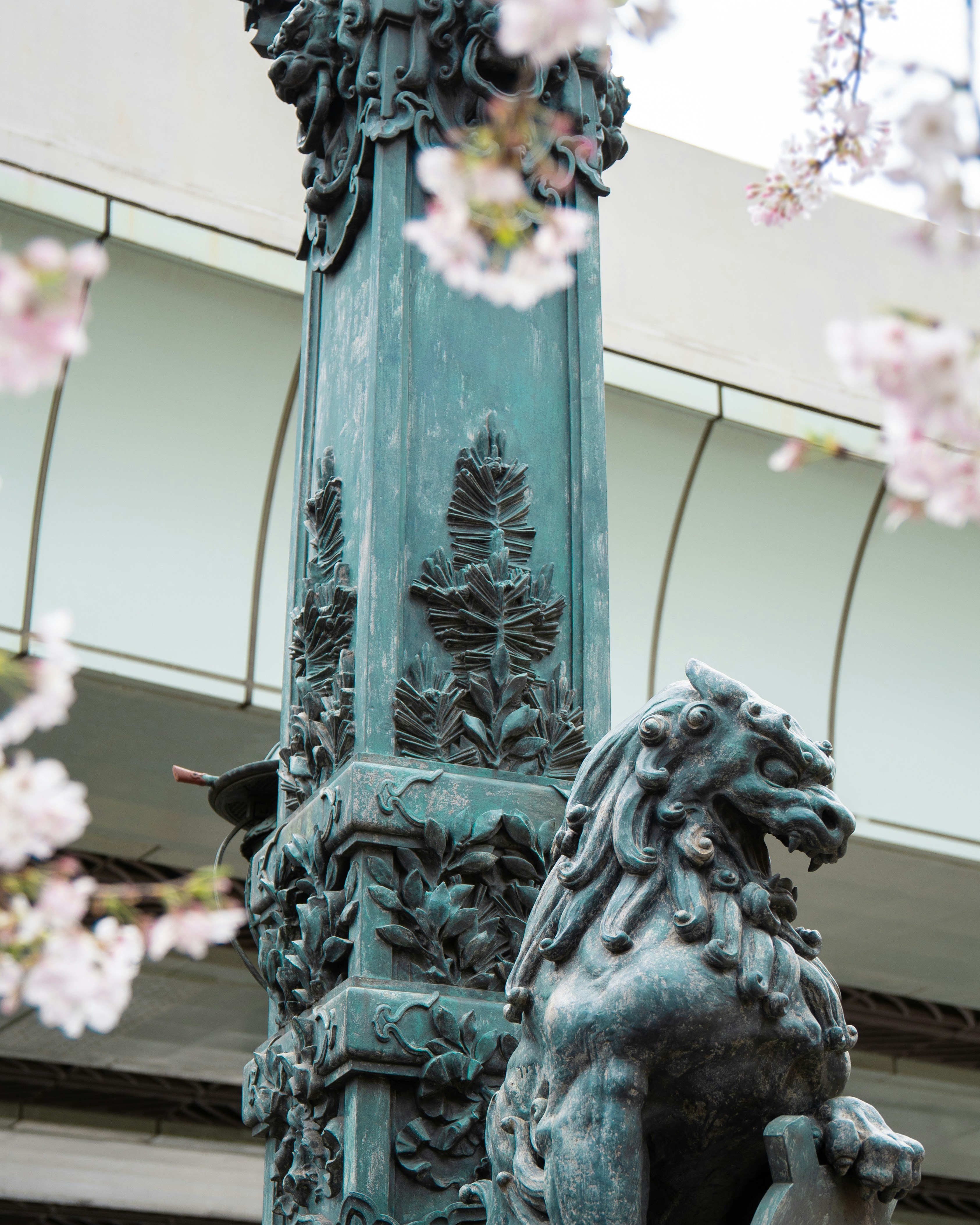 Patina-Glow Guardian: Dragon Statue Framed by Cherry Blossoms