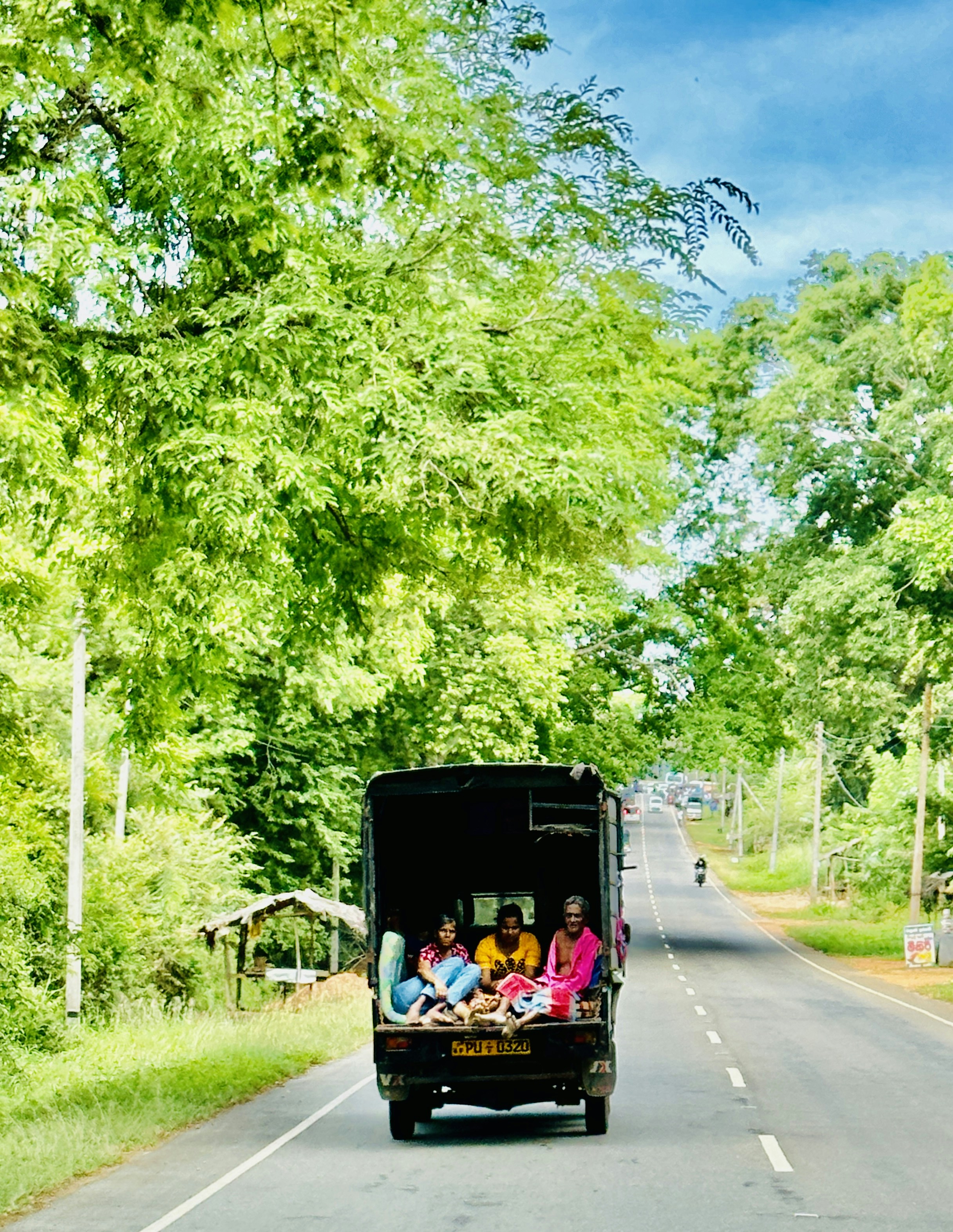 Green Canopy Over an Open Road: Passengers in the Back of a Rural Truck
